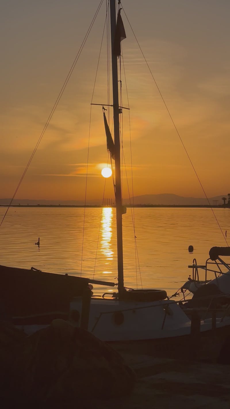 Waptrick+Funny+Video Videos, Download The BEST Free 4k Stock Video ...