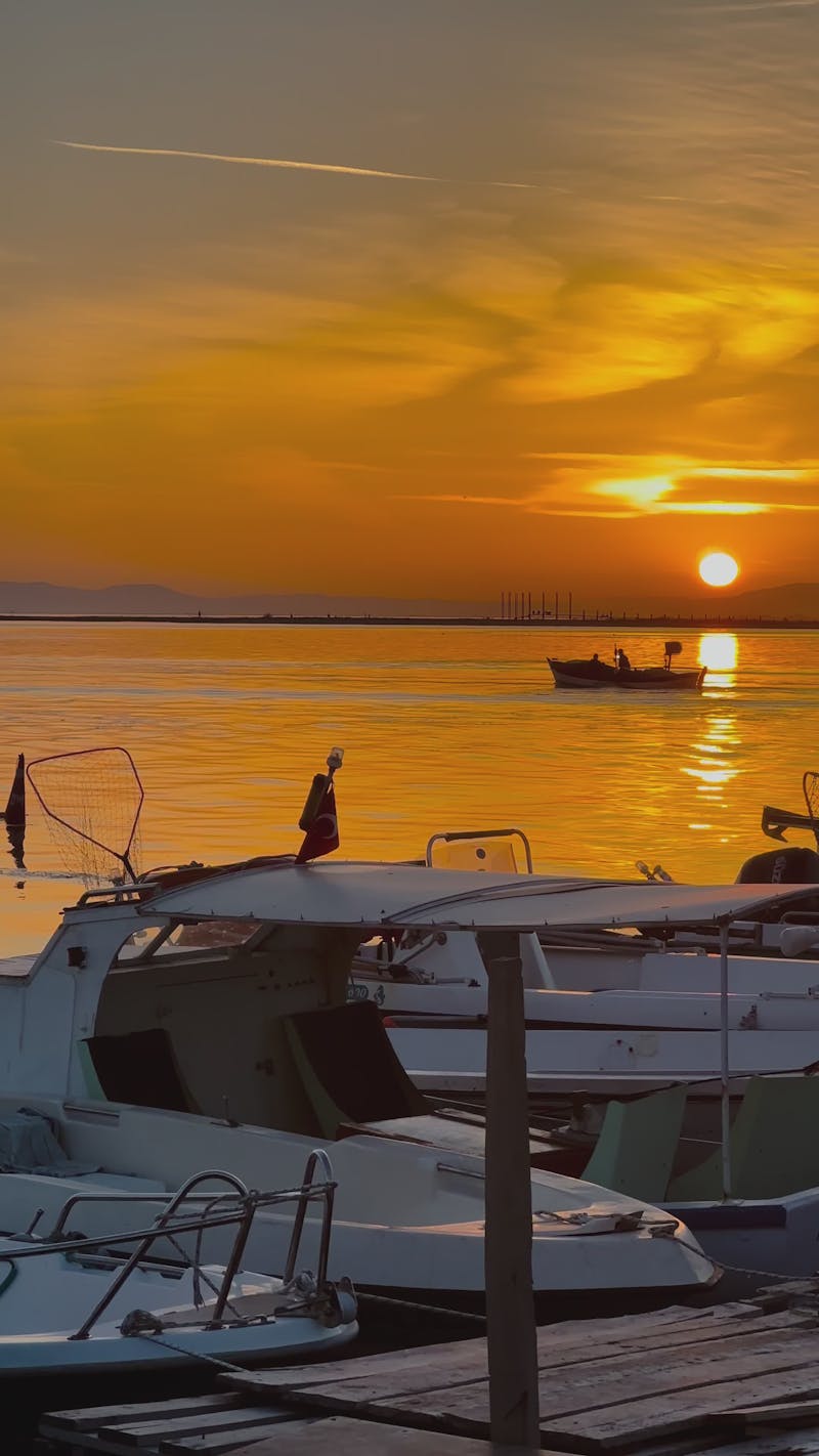 Waptrick+Funny+Video Videos, Download The BEST Free 4k Stock Video ...