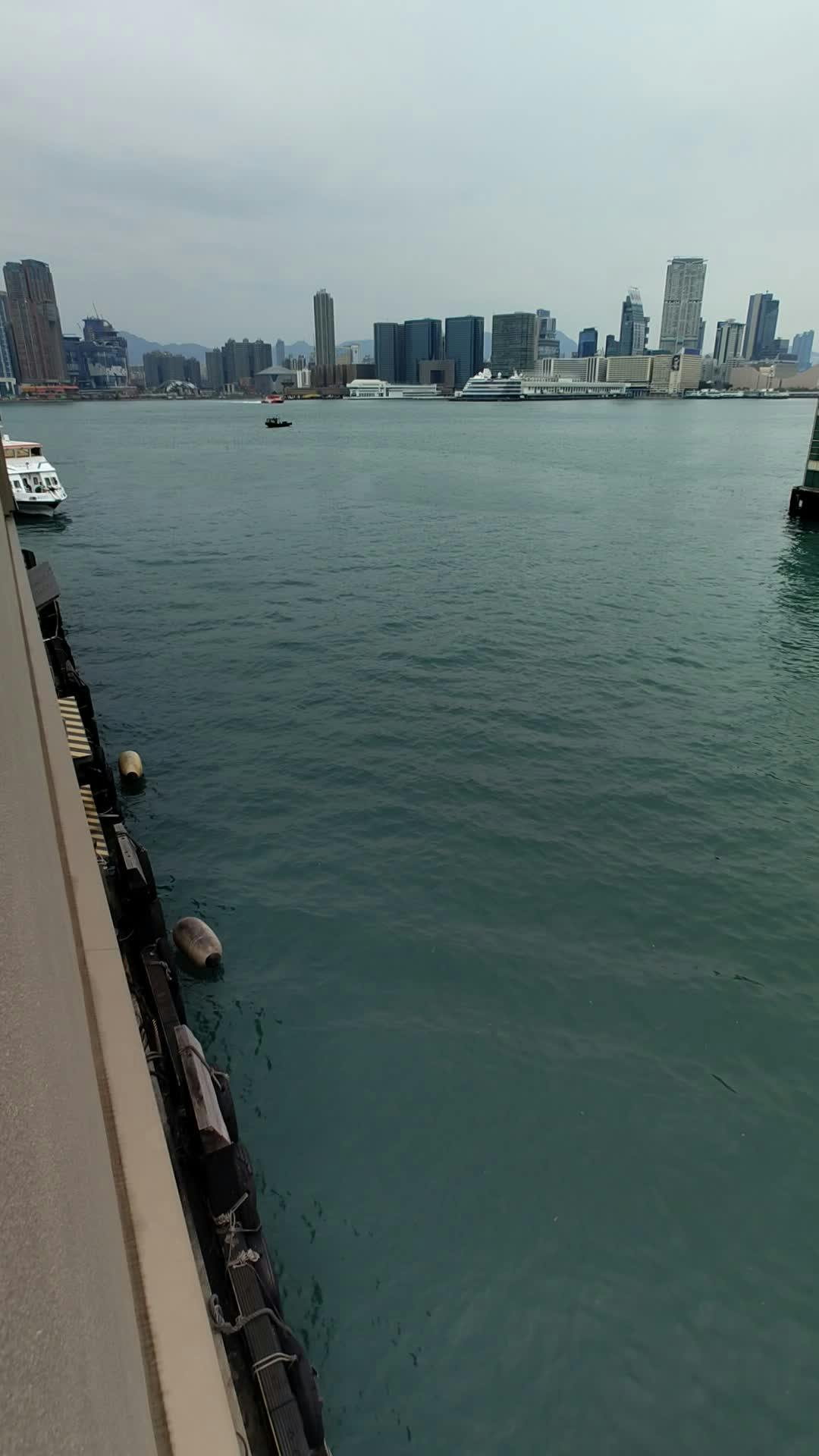 David Lomax - 摄影