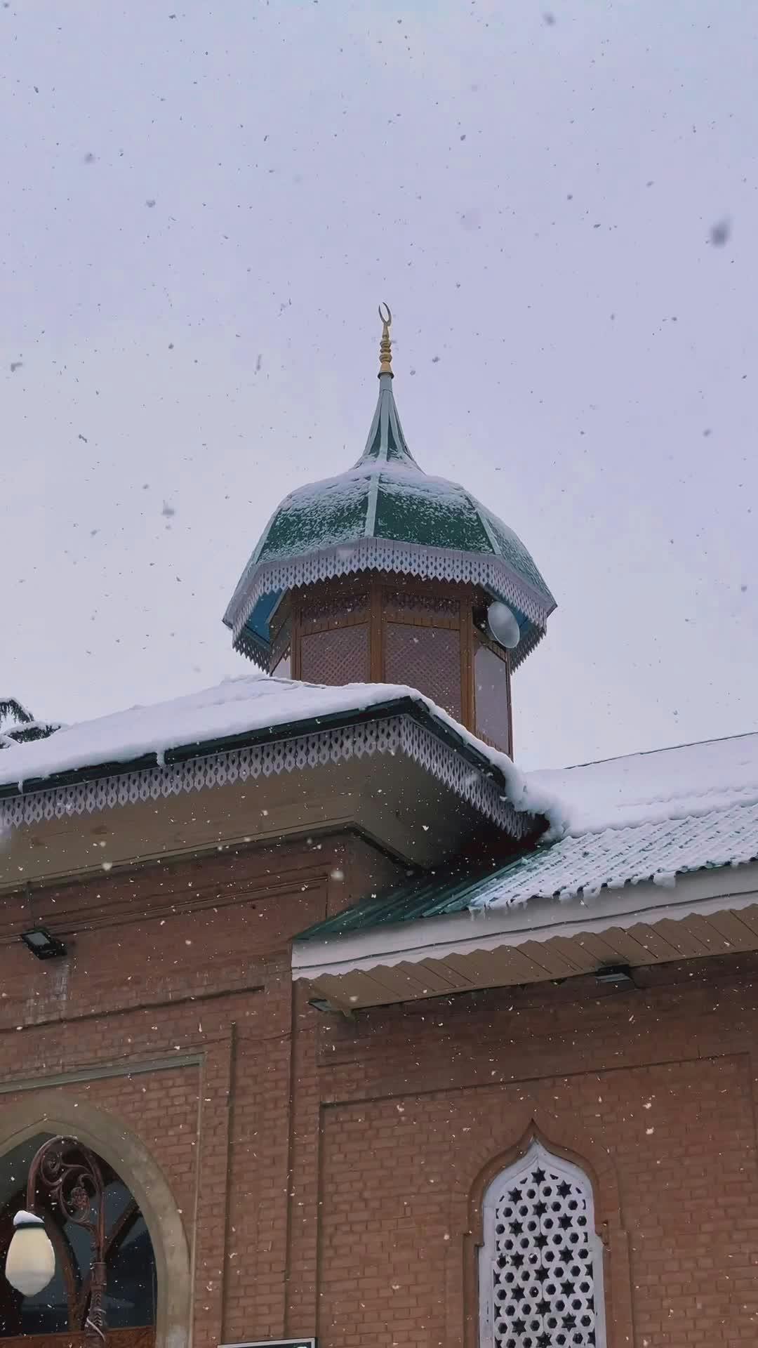 Pdf Footage Videos, Download The BEST Free 4k Stock Video Footage & Pdf ...