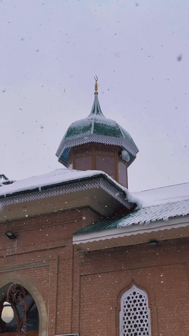 Waptrick+Funny+Video Videos, Download The BEST Free 4k Stock Video ...