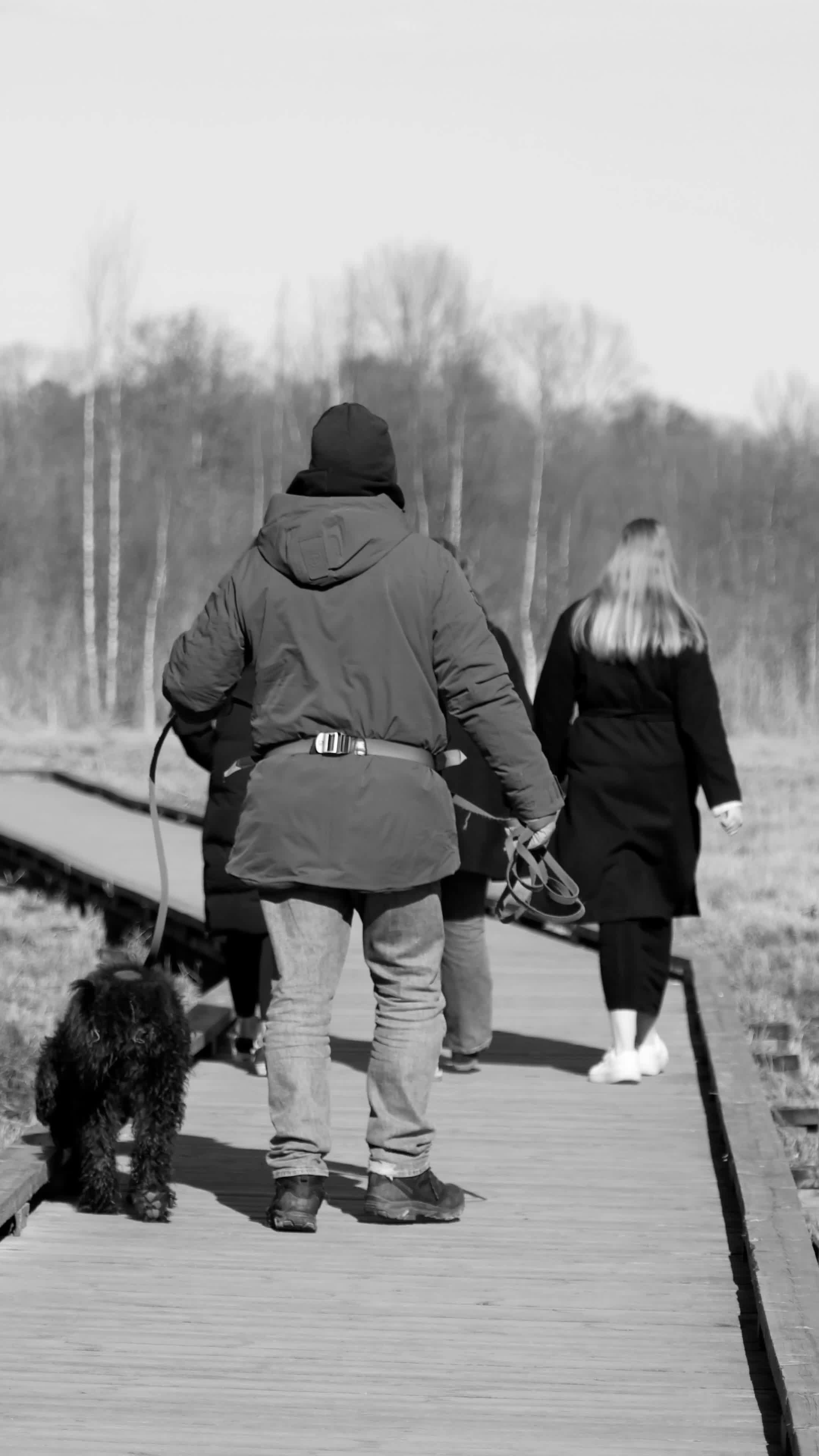 Nordic Forest Videos, Download The BEST Free 4k Stock Video Footage ...