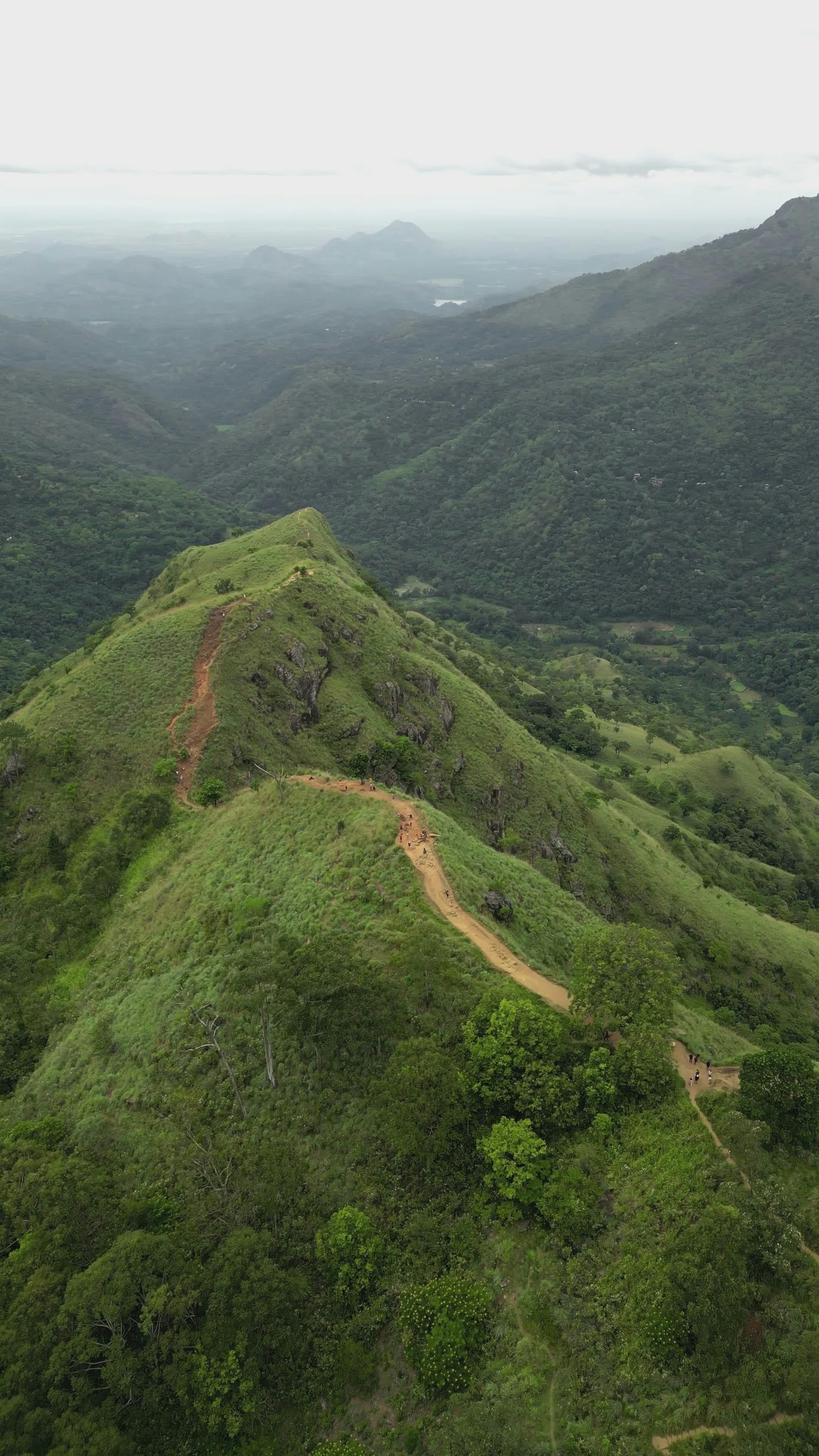 Wilderness Path Videos, Download The BEST Free 4k Stock Video Footage ...