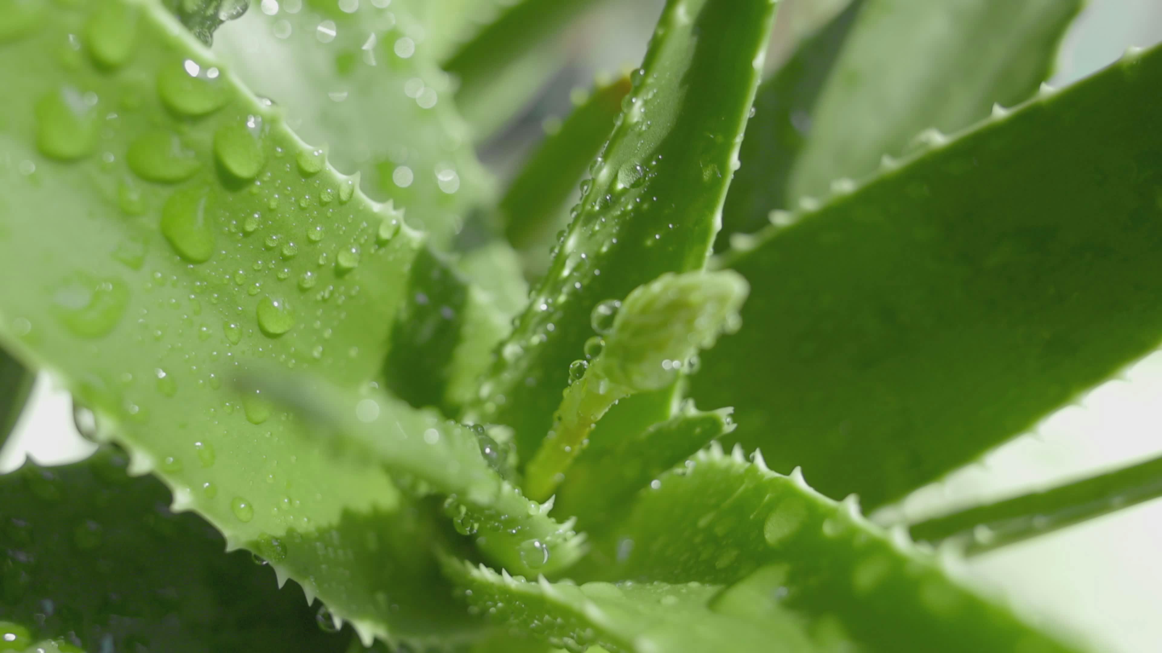 Health And Wellness Videos, Download The BEST Free 4k Stock Video ...