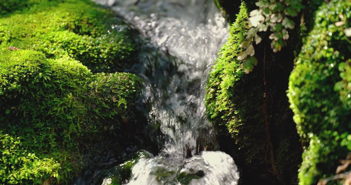 Beautiful+Hanging+Breasts+Bouncing Videos, Download The BEST Free 4k ...