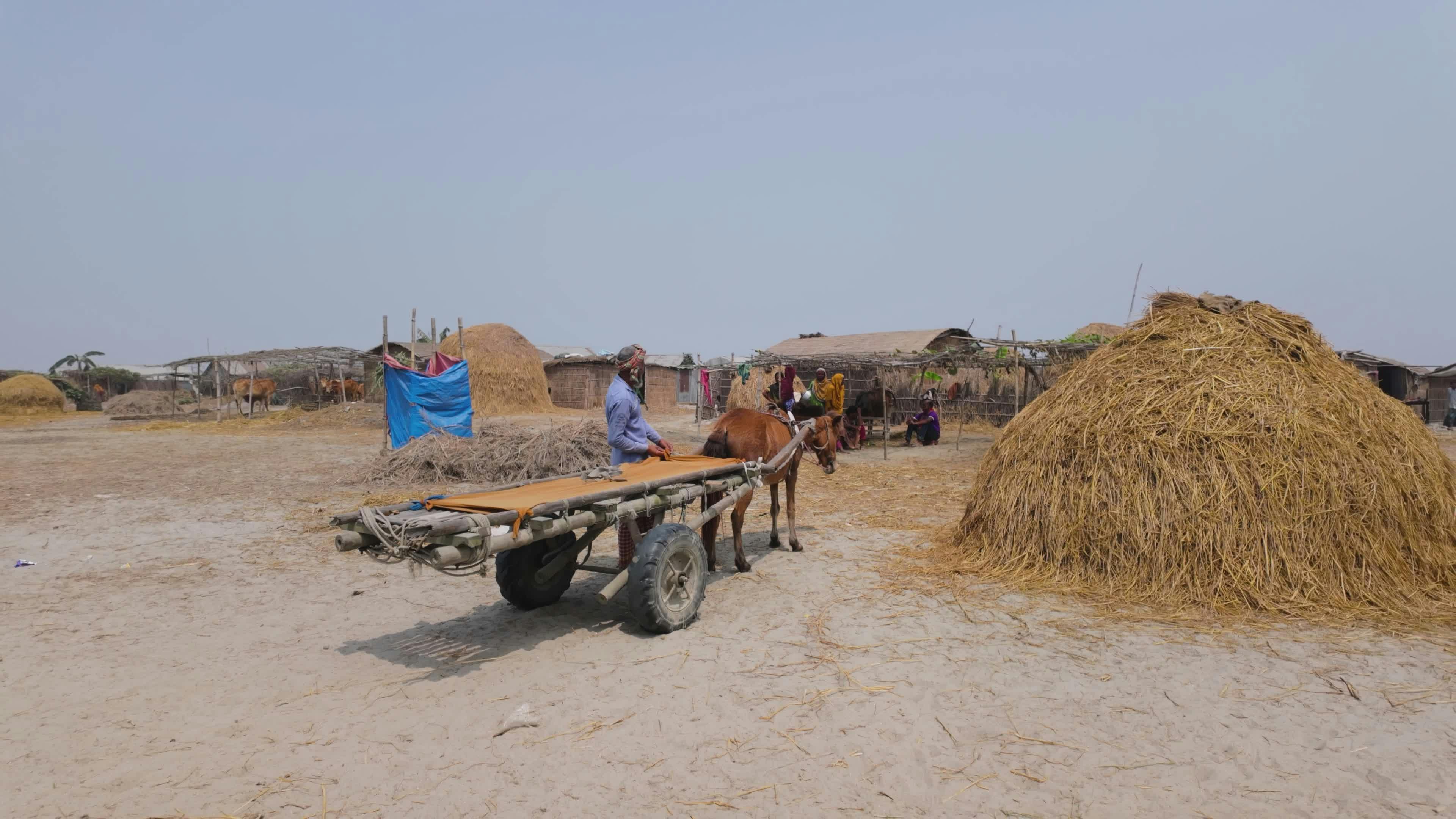 Rural Life in Bangladesh's Char Villages Free Stock Video Footage ...