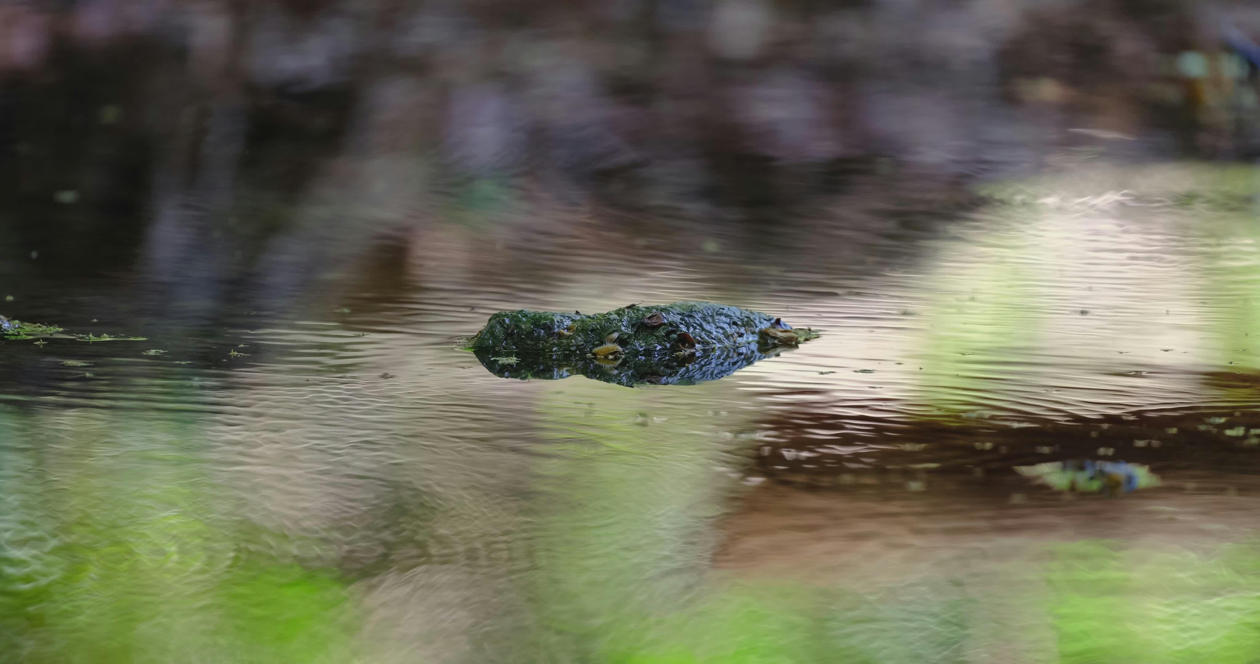 Animated Waterfall Videos, Download The BEST Free 4k Stock Video ...