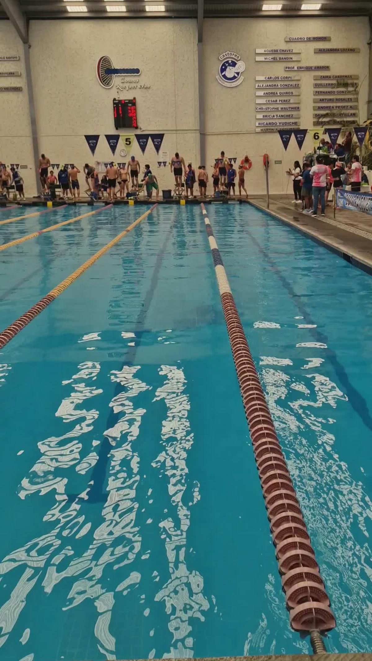 Royalty Free Videos, Download The BEST Free 4k Stock Video Footage ...