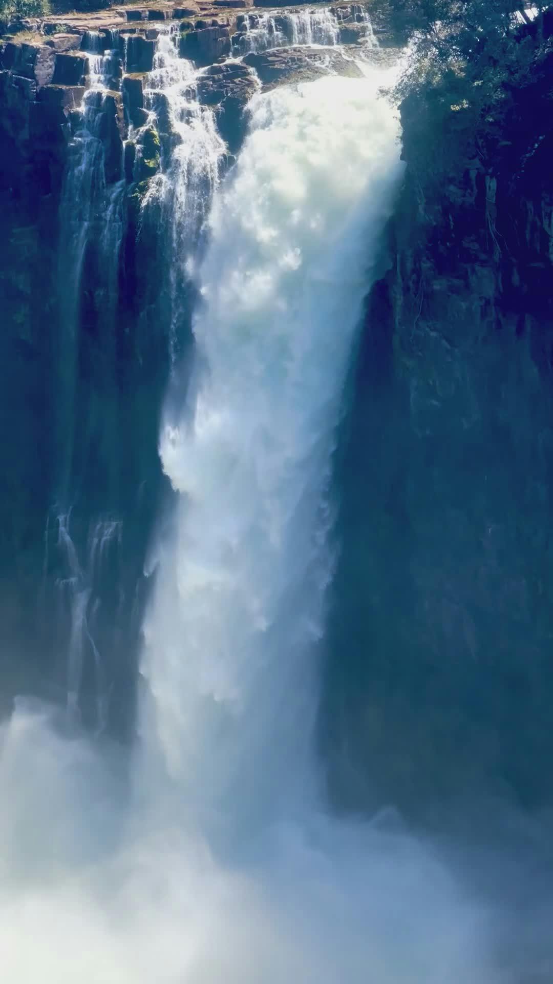 Shaky Video Videos, Download The BEST Free 4k Stock Video Footage ...