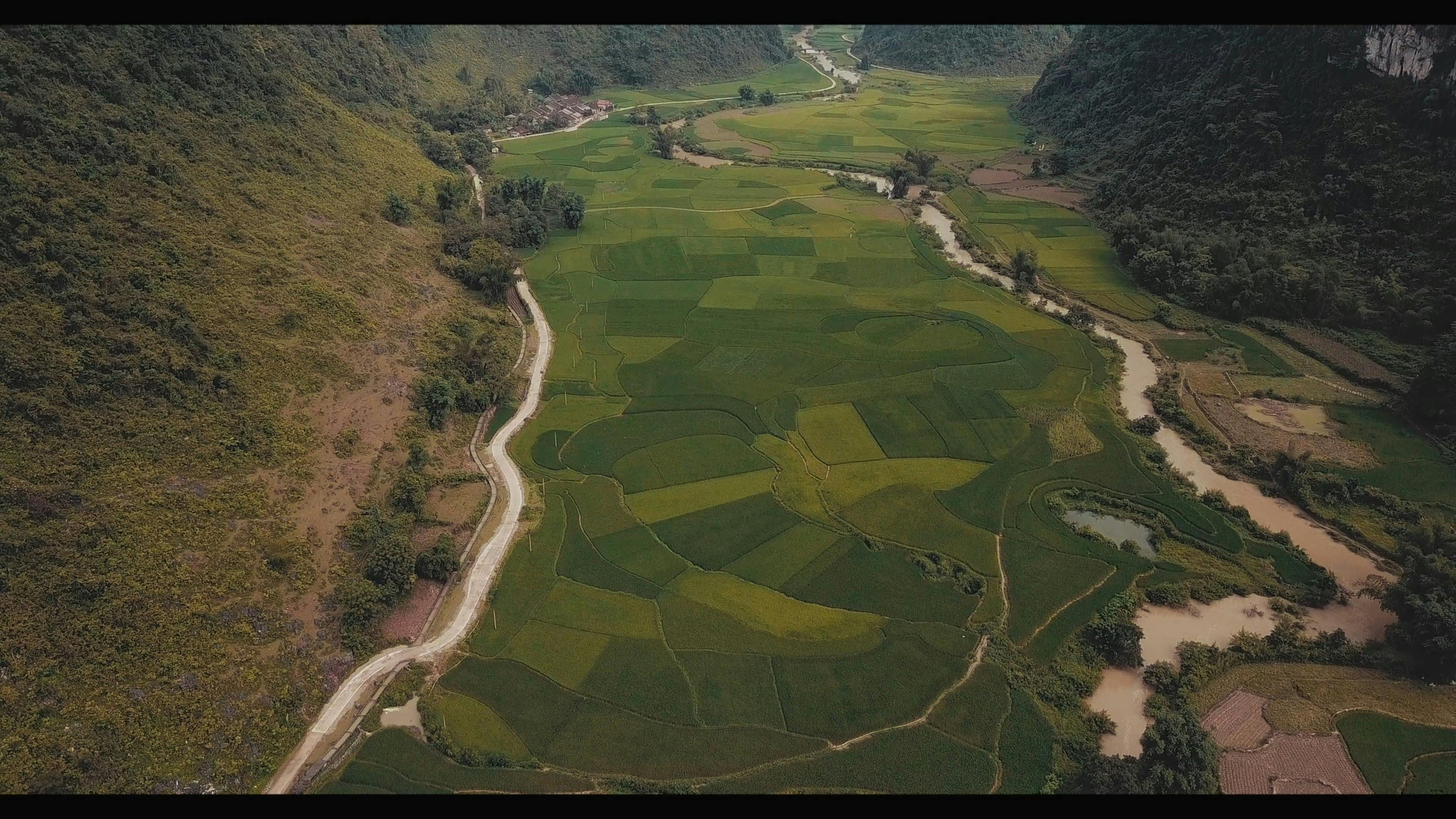 Rice Farming In Mountains Valleys · Free Stock Video