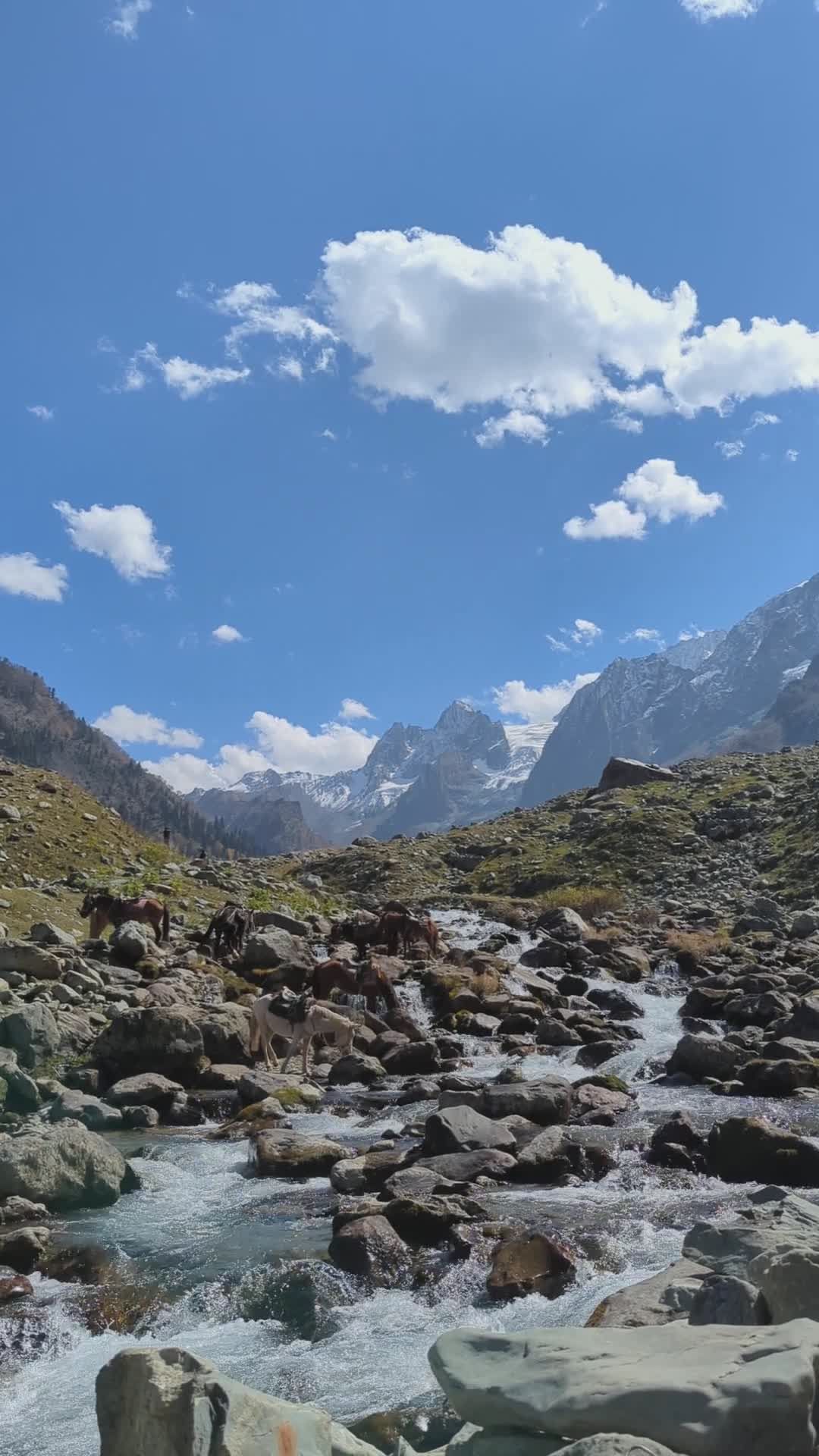 Mountain Stream Flowing in Scenic Alpine Valley Free Stock Video ...