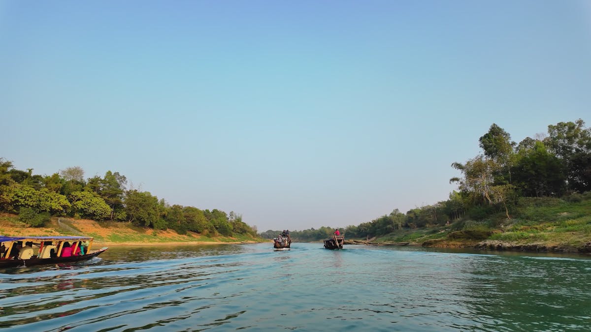 Women+Riding+Sybians Videos, Download The BEST Free 4k Stock Video ...