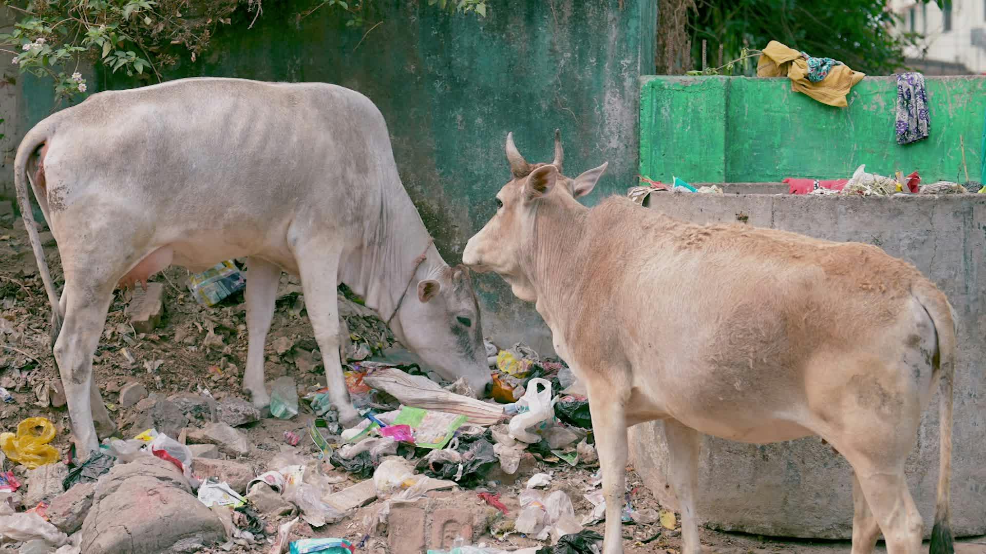 Bing.Com/Search?Q=Xxxxxxxx&Qs=N&Form=Qbre&Sp= 1&Lq=0&Pq=Xxxxxxxx&Sc=0 8 ...