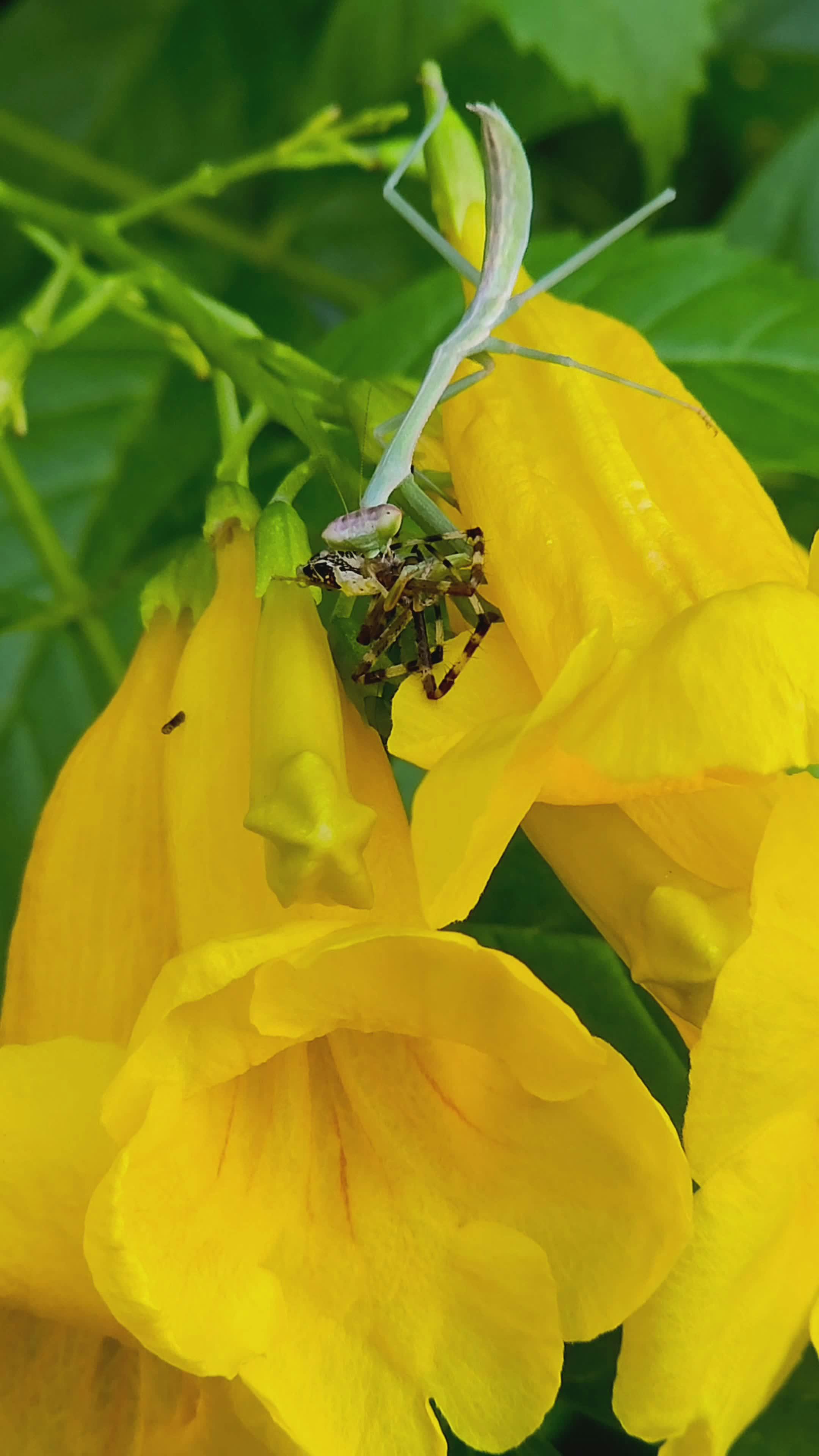 300+ วิดีโอ Huluの料金は高い？他サービスとの比較やhuluチケットの入力方法も解説！ ที่ดีที่สุด · ดาวน์ ...