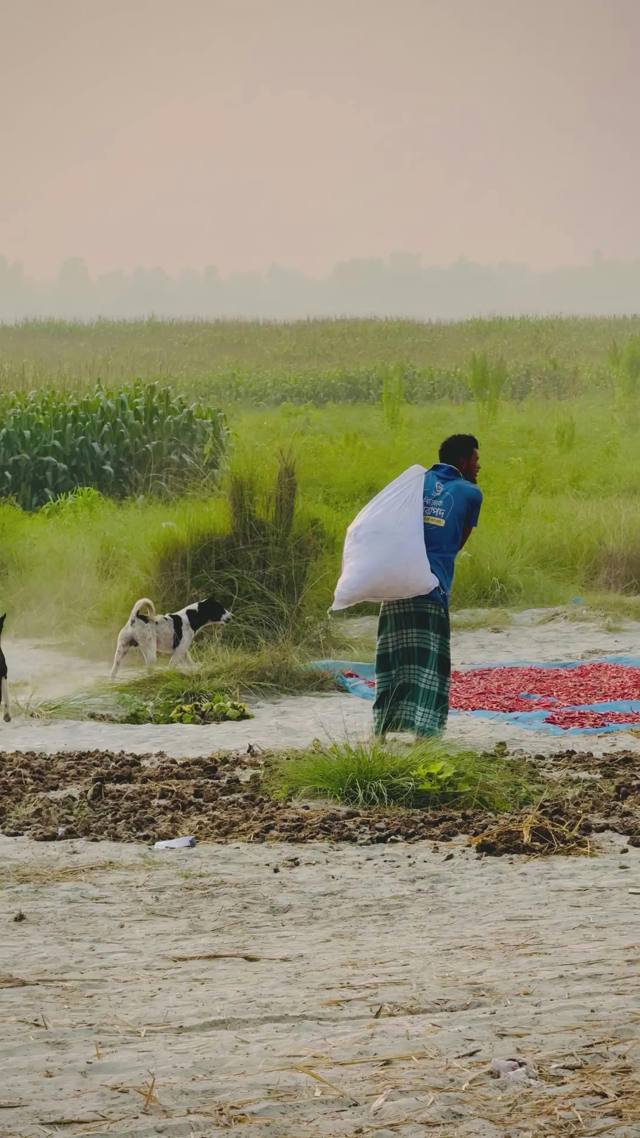 Farmer Work Videos, Download The BEST Free 4k Stock Video Footage ...