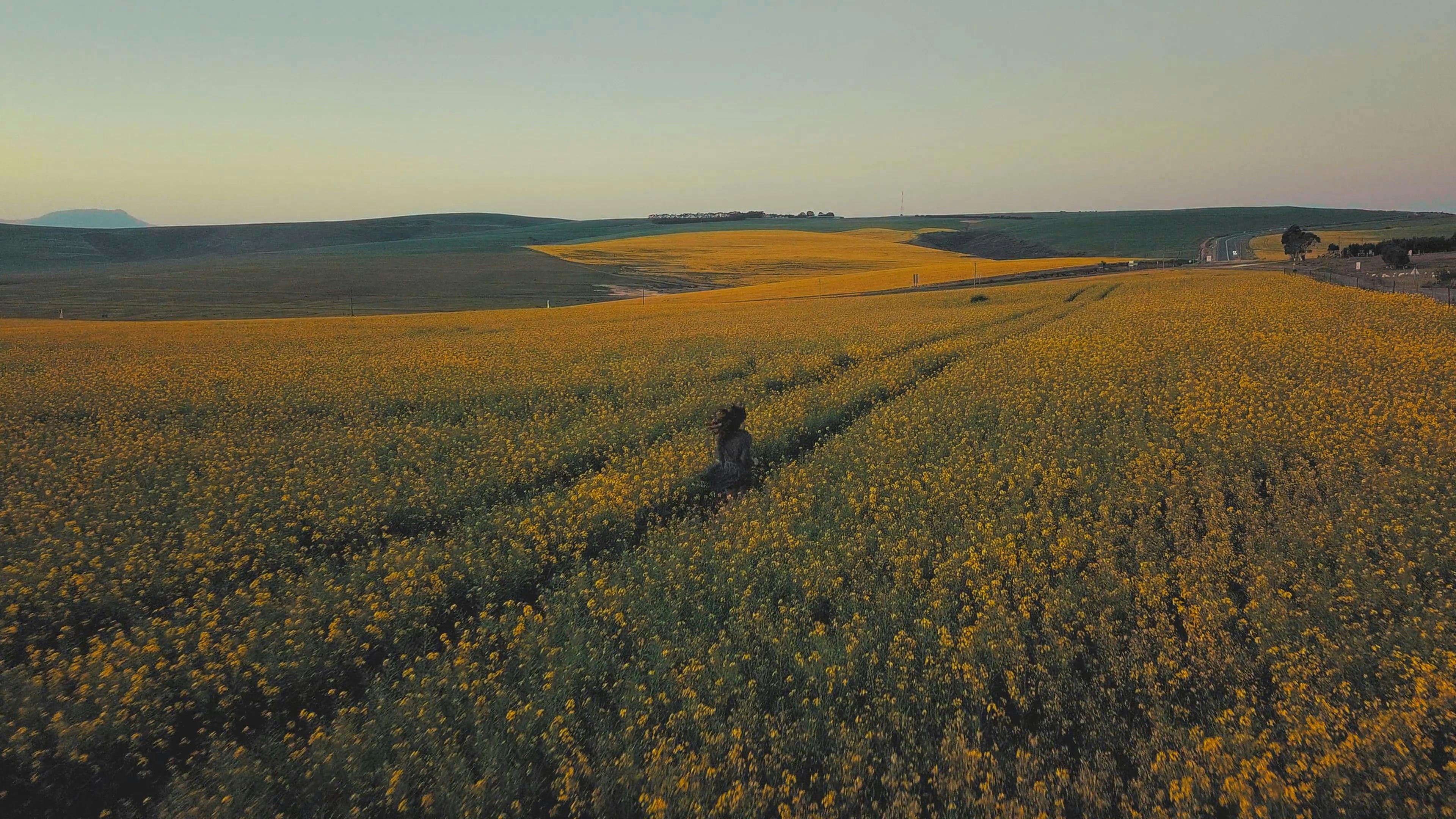 Trail Running Videos, Download The BEST Free 4k Stock Video Footage ...