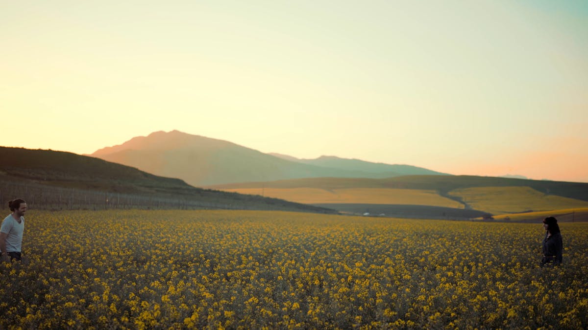 94,954+ Best Free Videos 4K Stock Video Footage & Royalty-Free HD Video ...