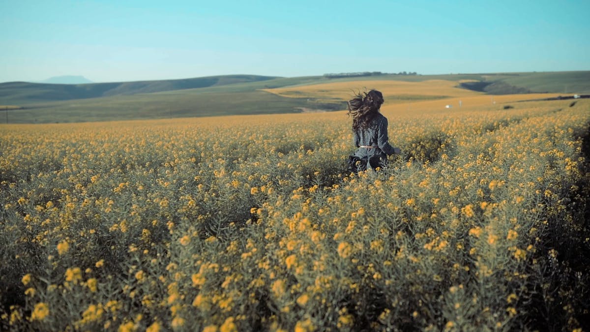 Slow Motion Videos, Download The BEST Free 4k Stock Video Footage ...