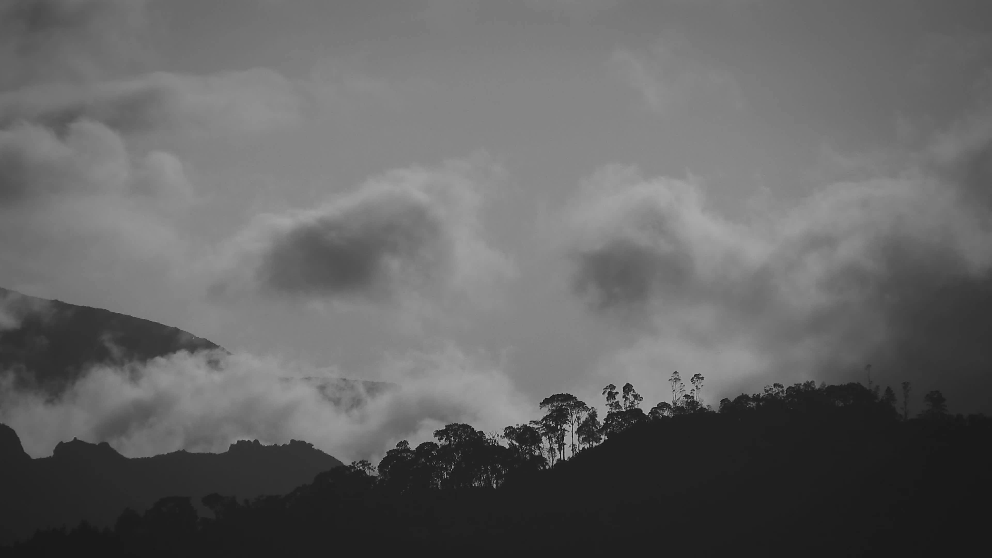 CESAR A RAMIREZ VALLEJO TRAPHITHO — Фотография