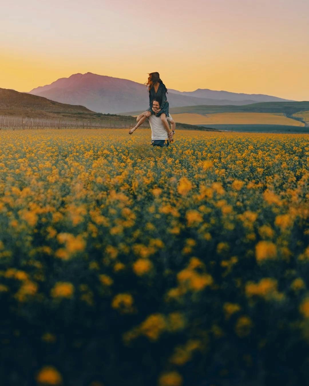 Romantic Videos, Download The BEST Free 4k Stock Video Footage ...