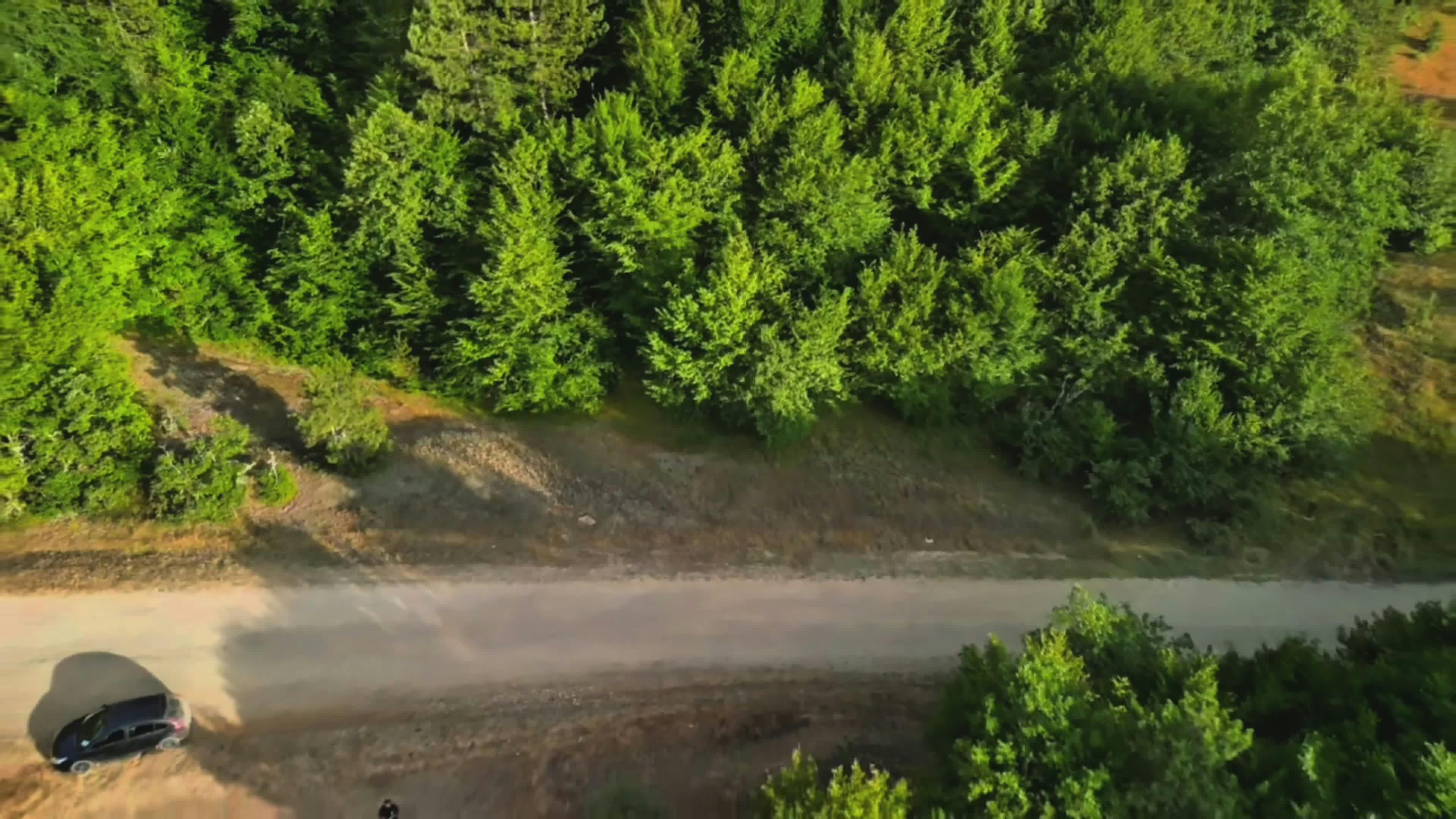 Pep六下zoom全身图 Videos, Download The BEST Free 4k Stock Video Footage ...