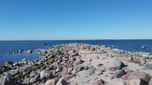 Little+Boy+Beach+Pawoo Videos, Download The BEST Free 4k Stock Video ...