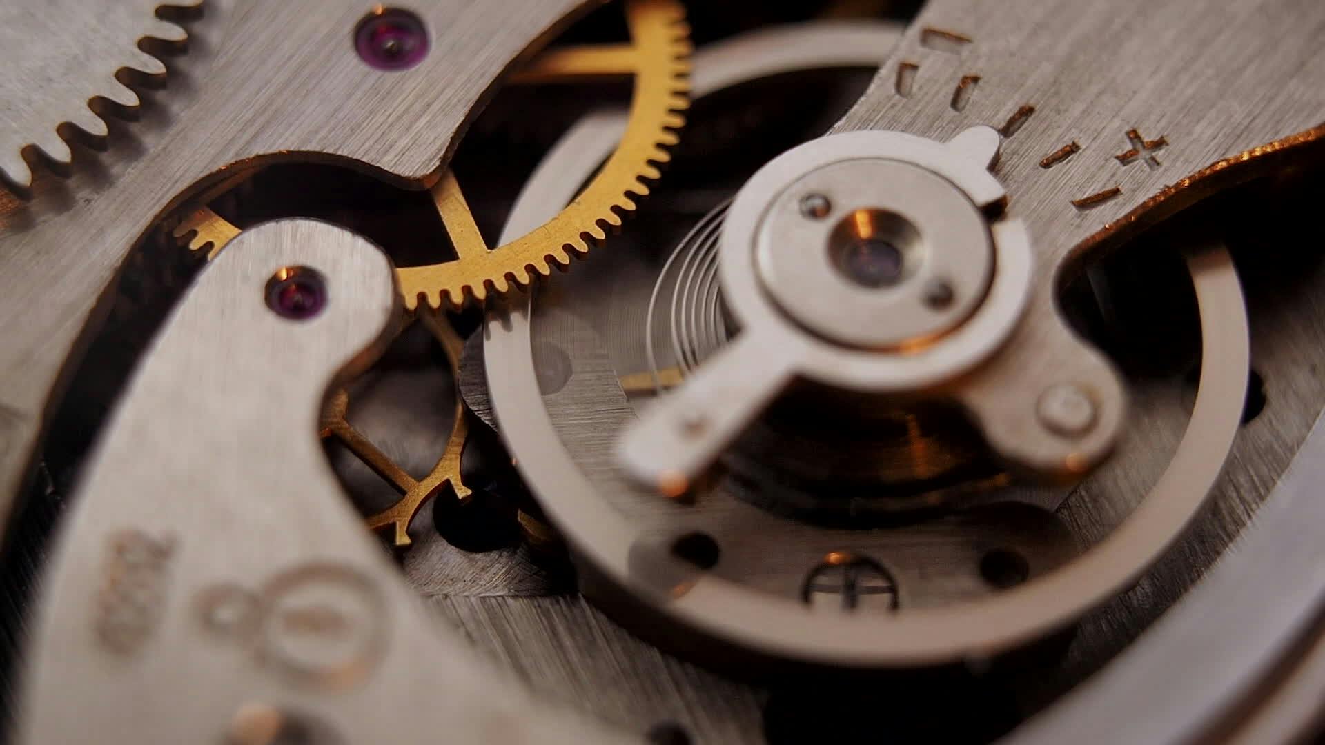 Intricate Watch Mechanism Close-Up Footage Free Stock Video Footage ...