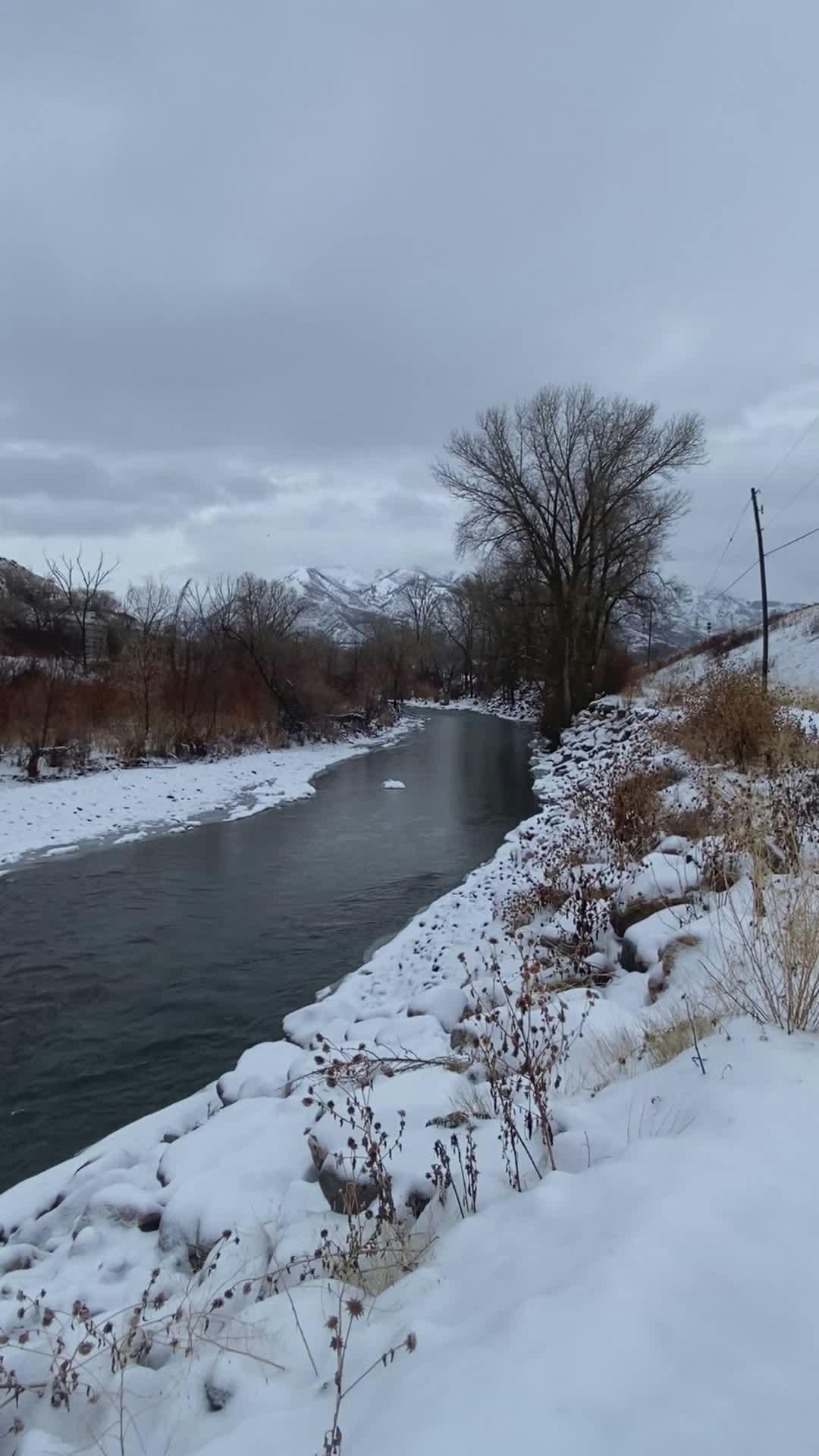 Peaceful Stream Videos, Download The BEST Free 4k Stock Video Footage ...