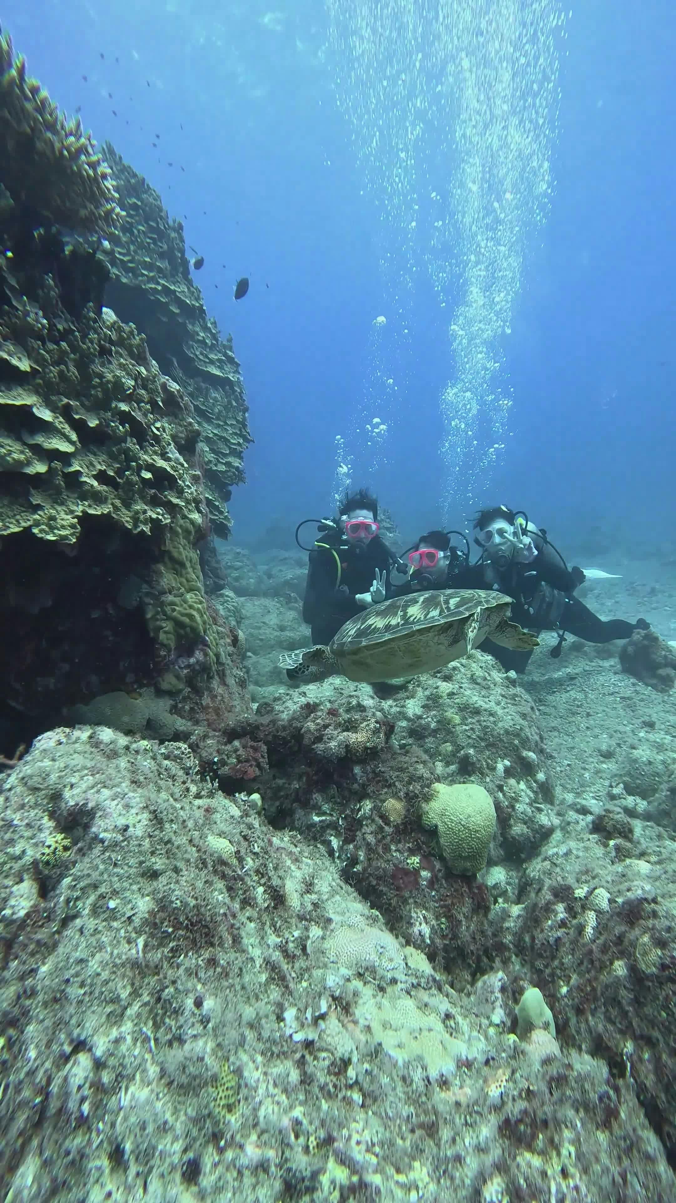 Breathtaking Underwater Ocean Floor Exploration Free Stock Video ...