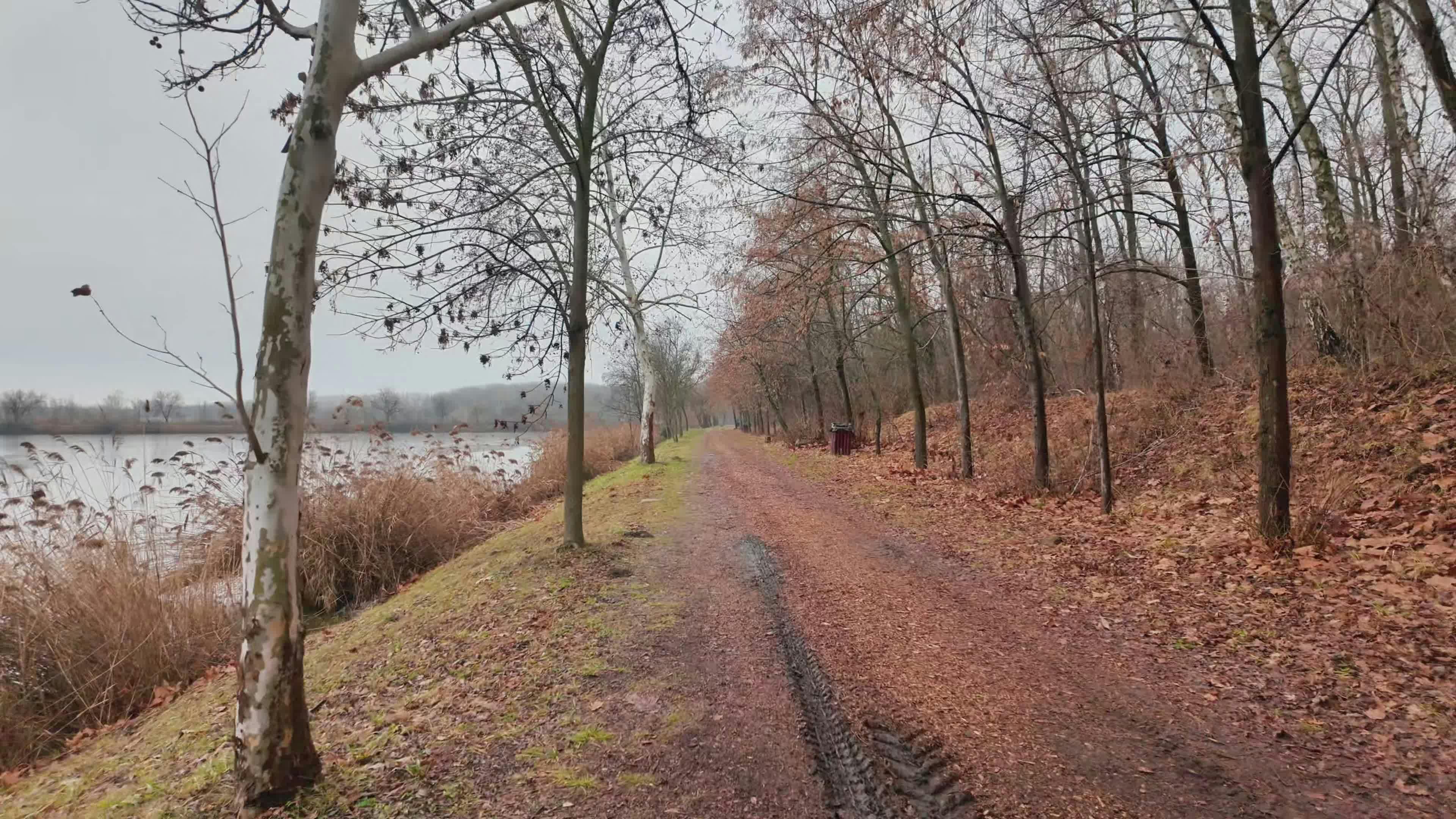 Kaarme Path Videos, Download The BEST Free 4k Stock Video Footage ...