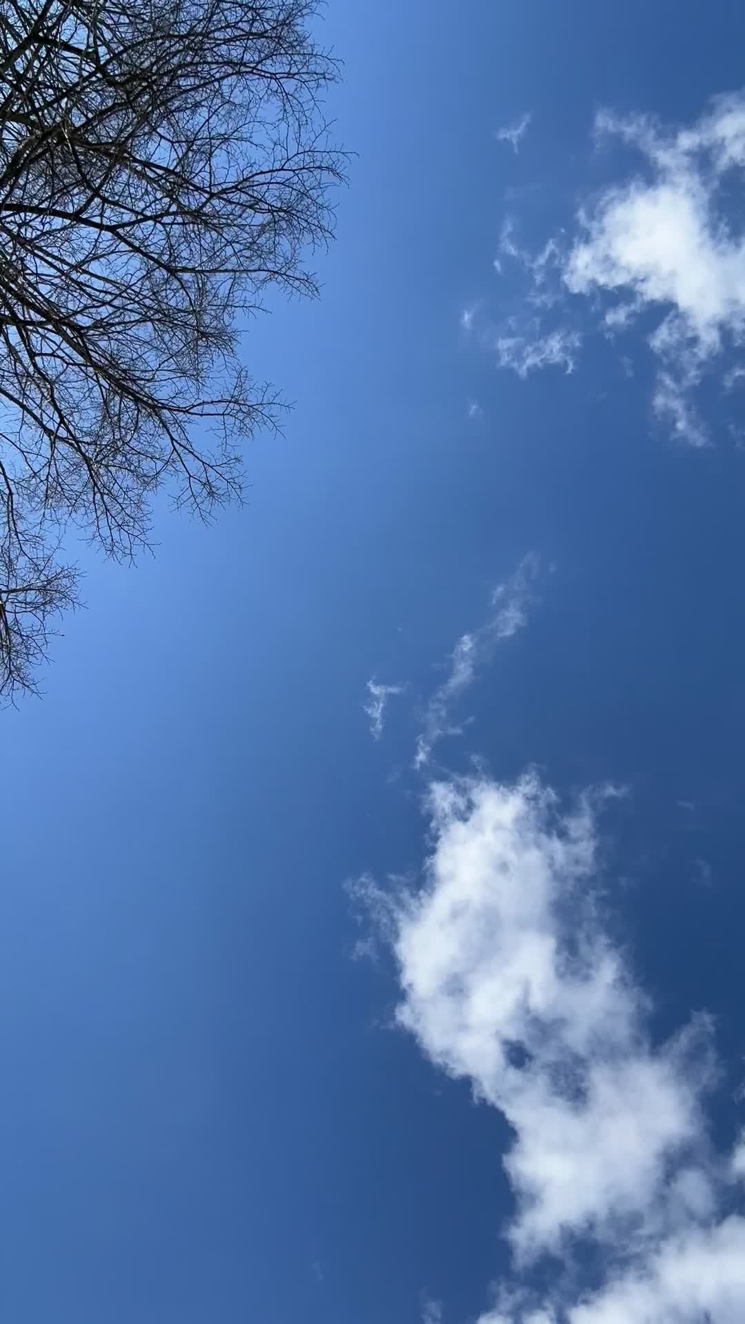 Timelapse of Fluffy Clouds in Blue Sky Free Stock Video Footage ...
