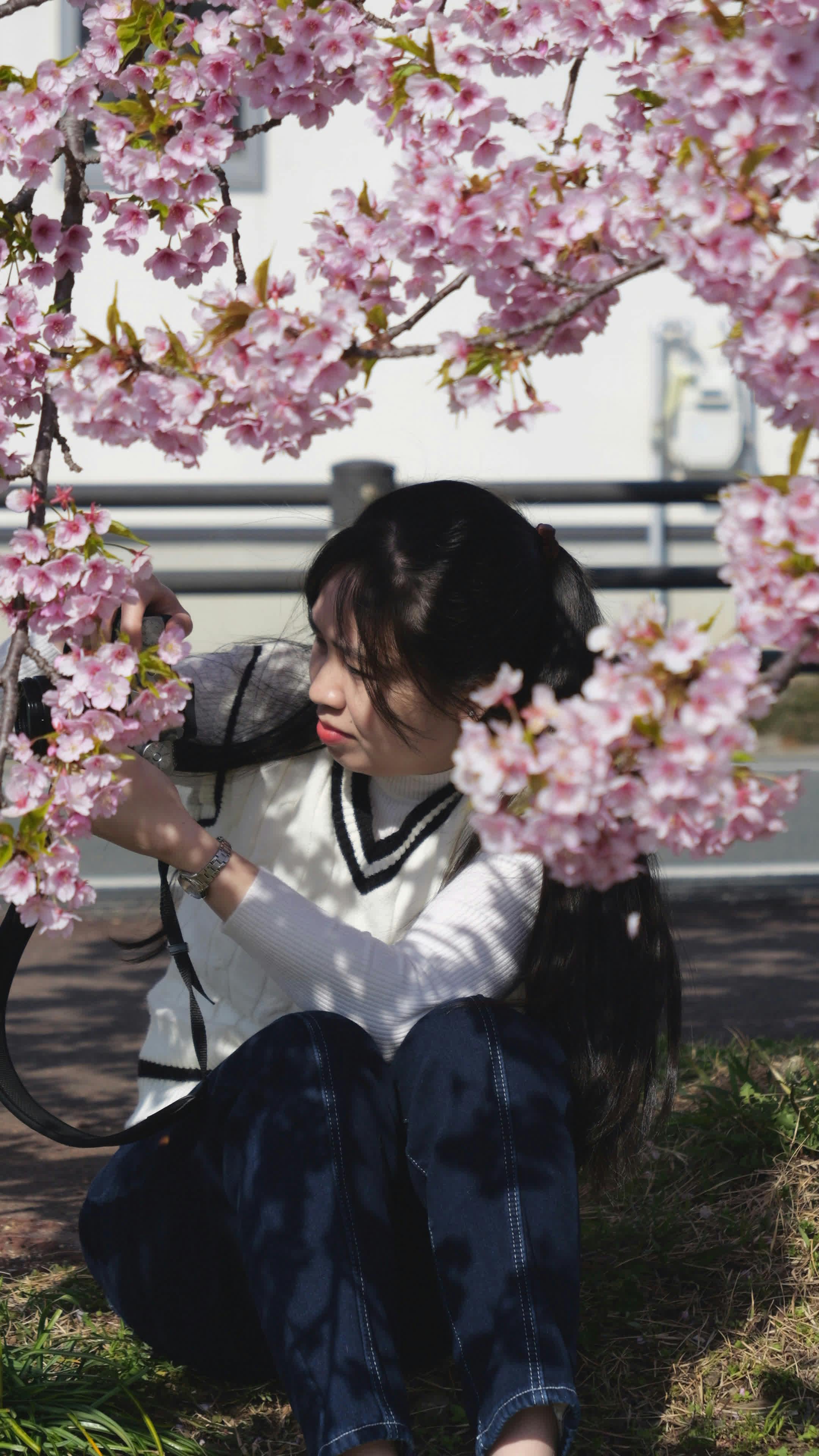 Black+Blossom+Xx Videos, Download The BEST Free 4k Stock Video Footage ...