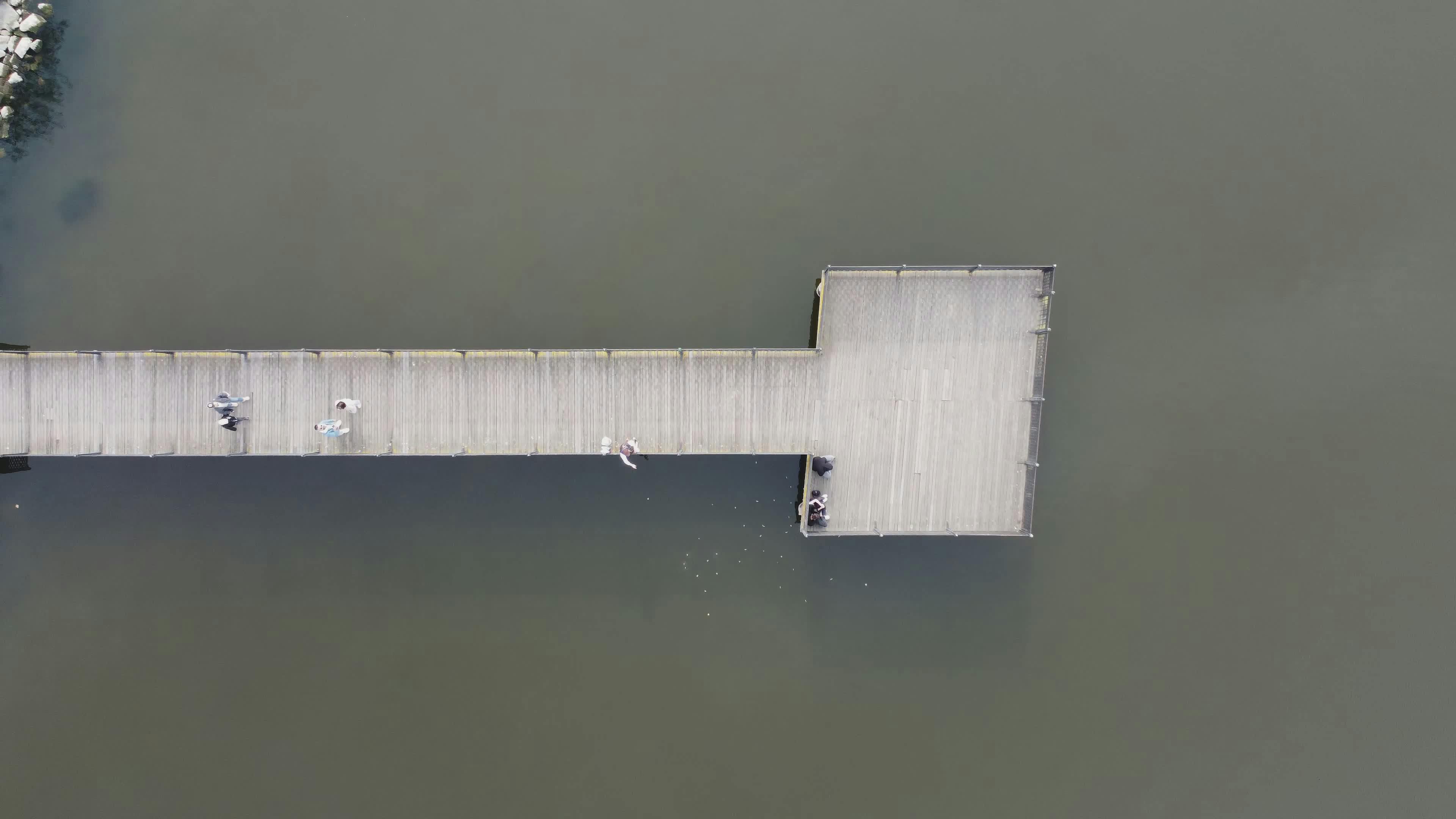 Fornification+Video Videos, Download The BEST Free 4k Stock Video ...