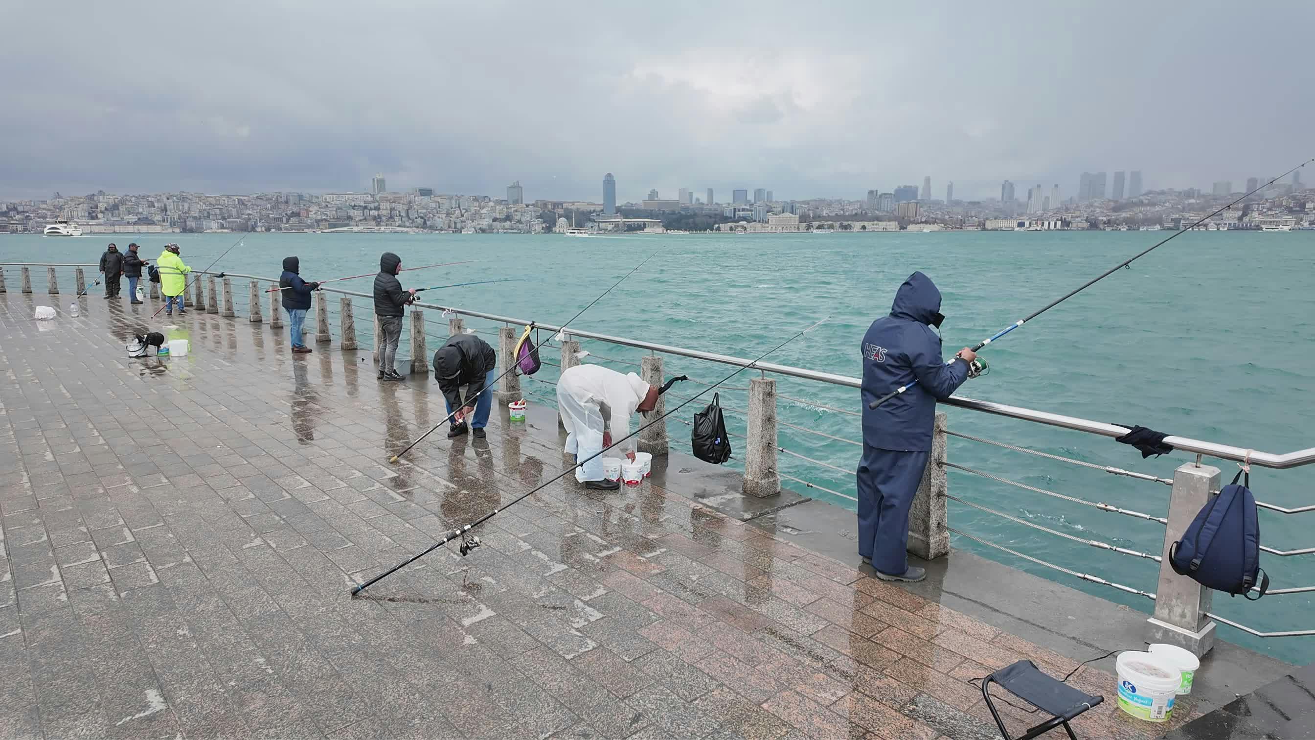 Male And Female Intercourse Videos, Download The BEST Free 4k Stock ...