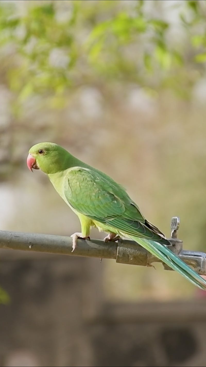 Simply+The+Best+Reverse+Cowgirl+Compilation+Ever Videos, Download The ...