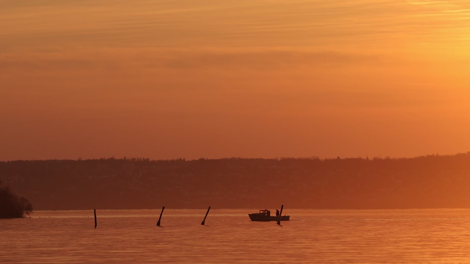 Videos Pixabay Videos, Download The BEST Free 4k Stock Video Footage ...