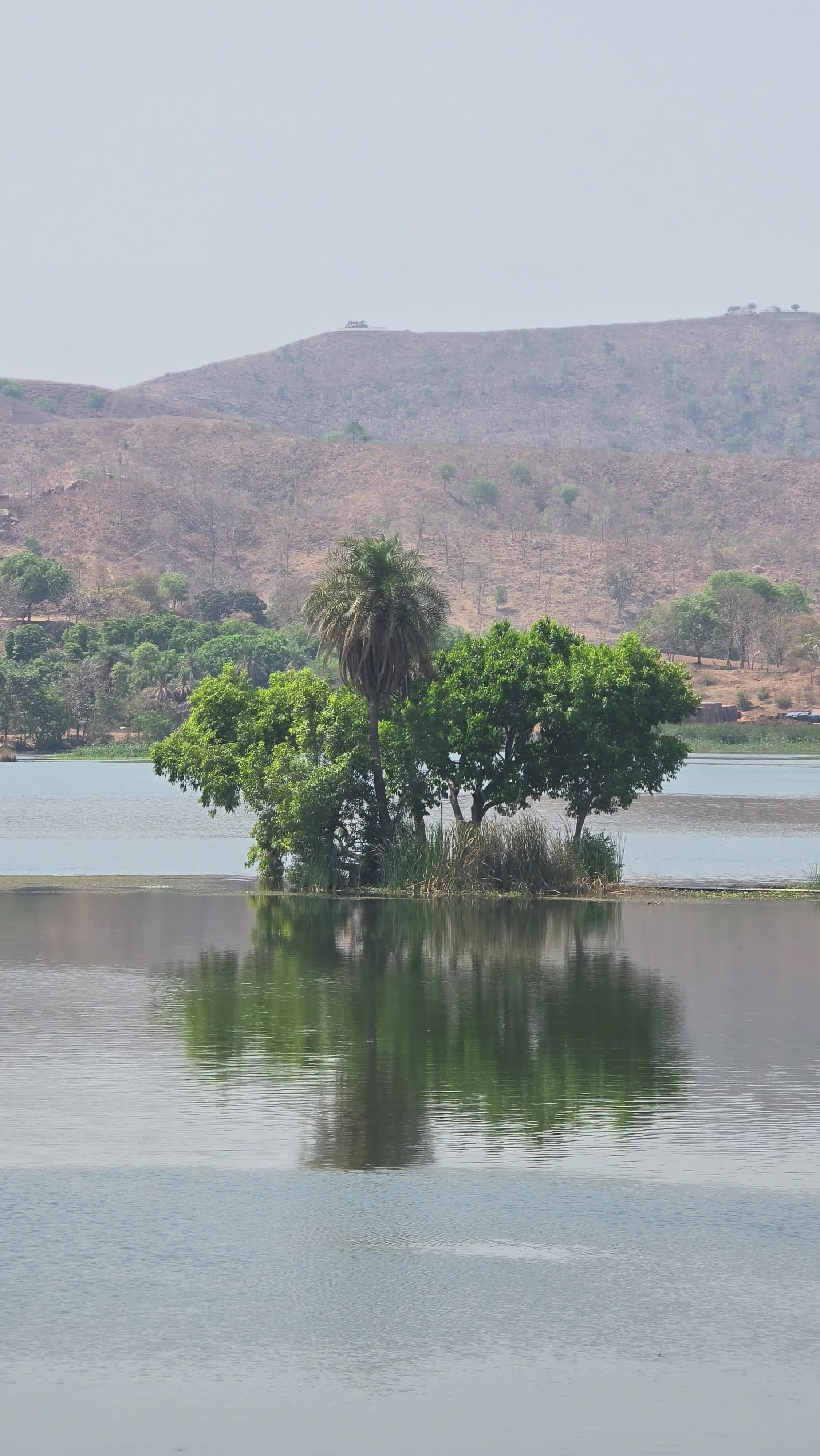 Serene Lake with Verdant Island Reflection Free Stock Video Footage ...