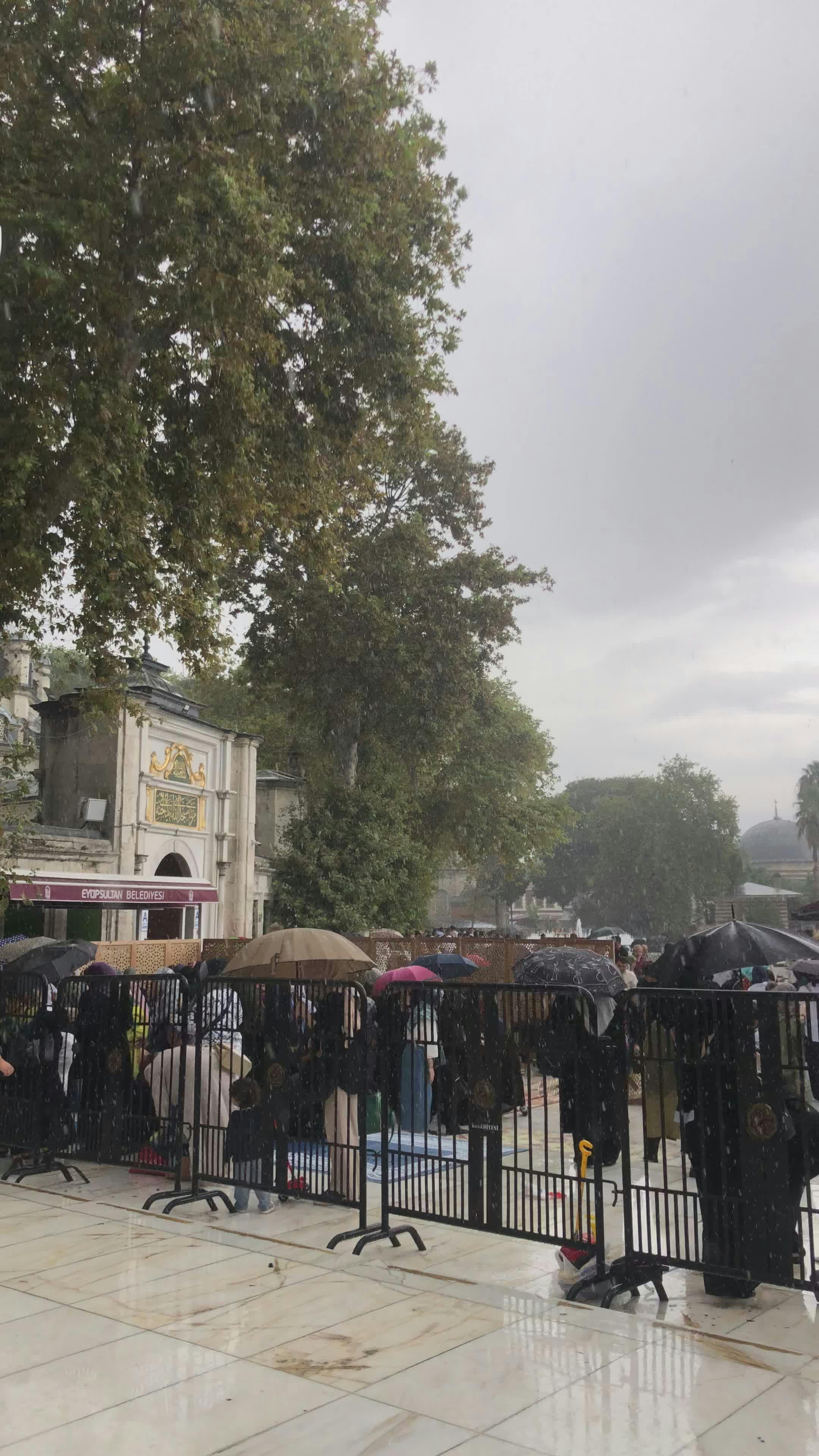 Girls+Fighting+Ripping+Clothes+Off Videos, Download The BEST Free 4k ...