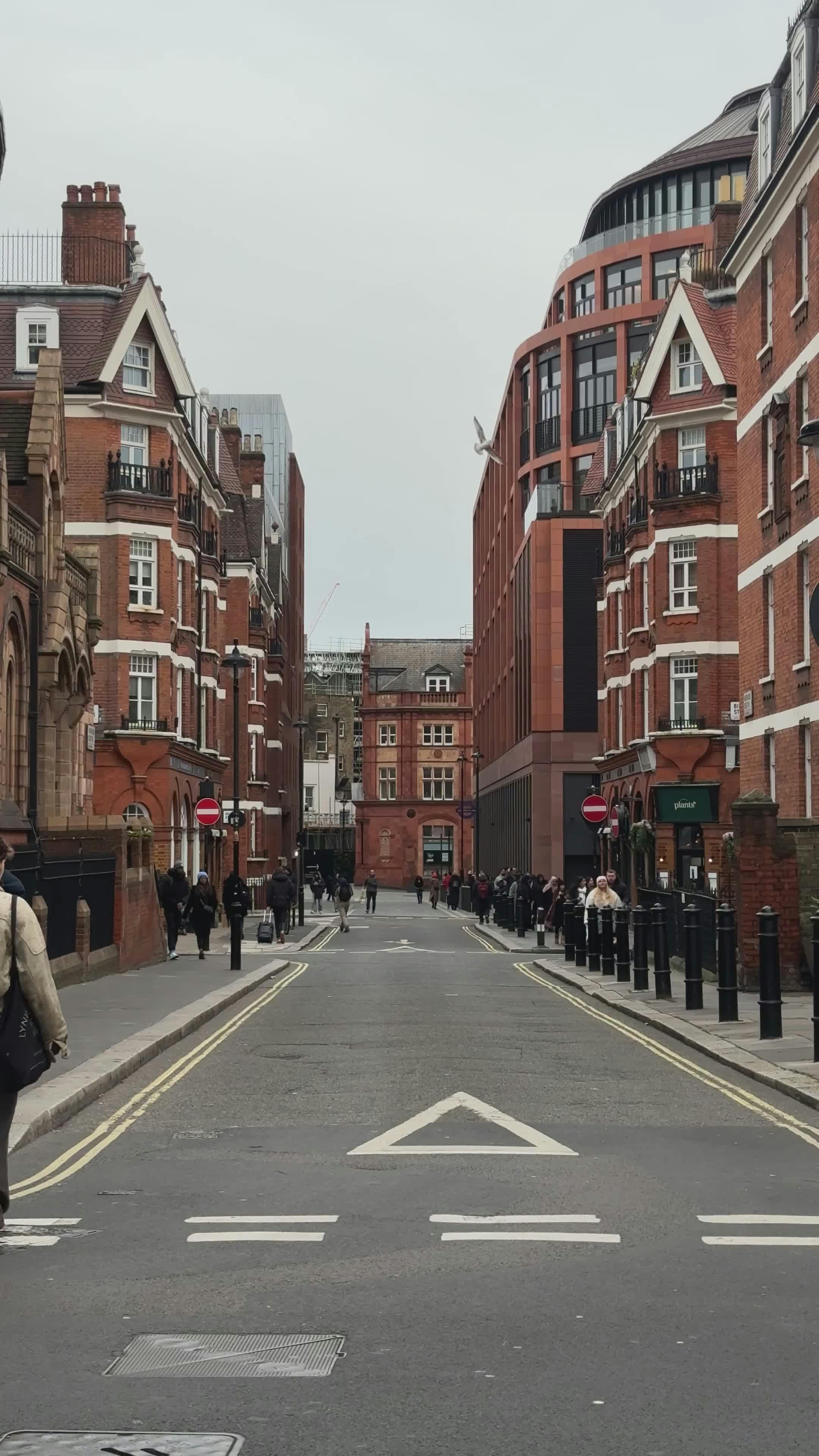 People+Humping+Each+Other Videos, Download The BEST Free 4k Stock Video ...