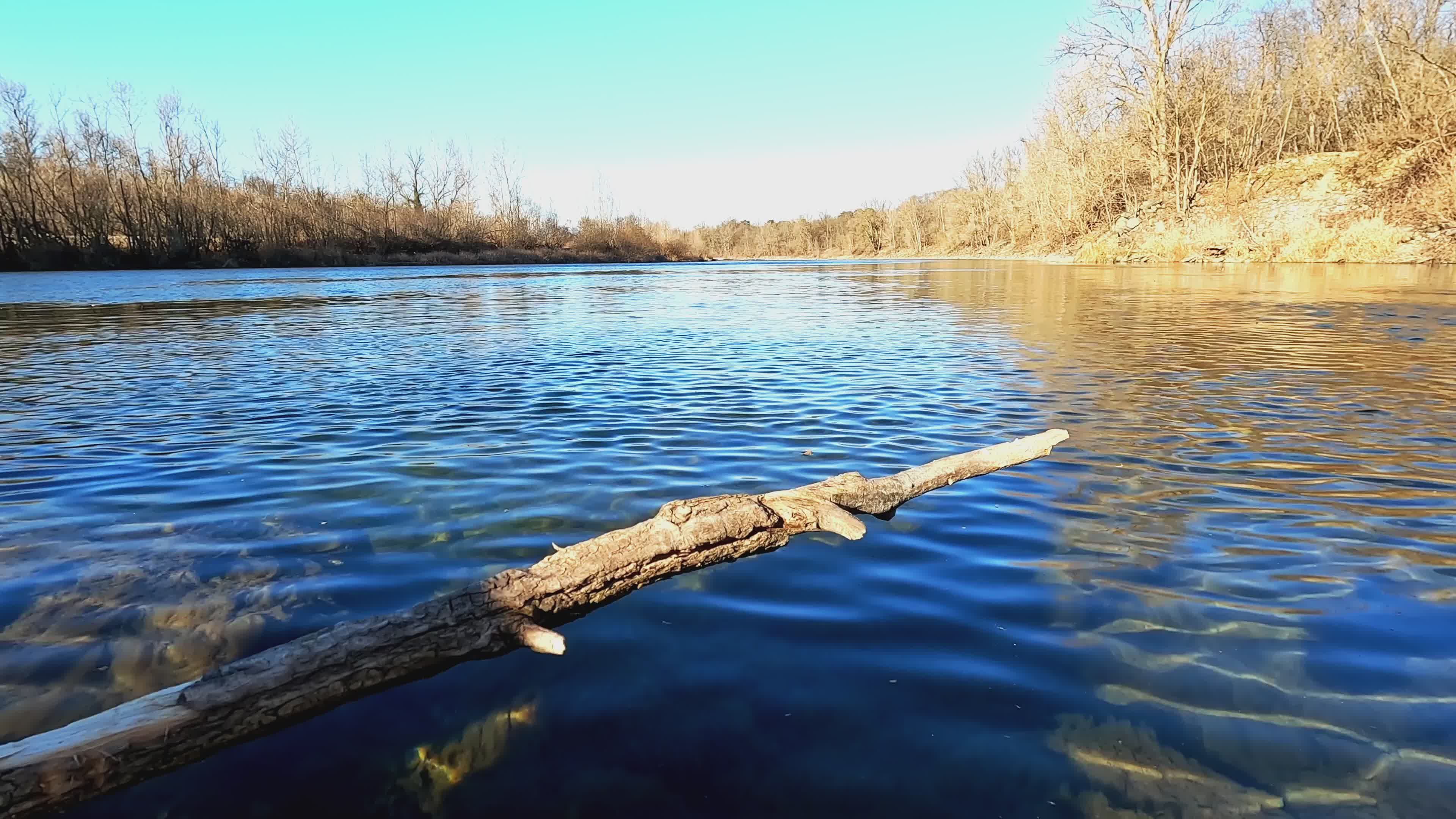 Log Sector Videos, Download The BEST Free 4k Stock Video Footage & Log ...