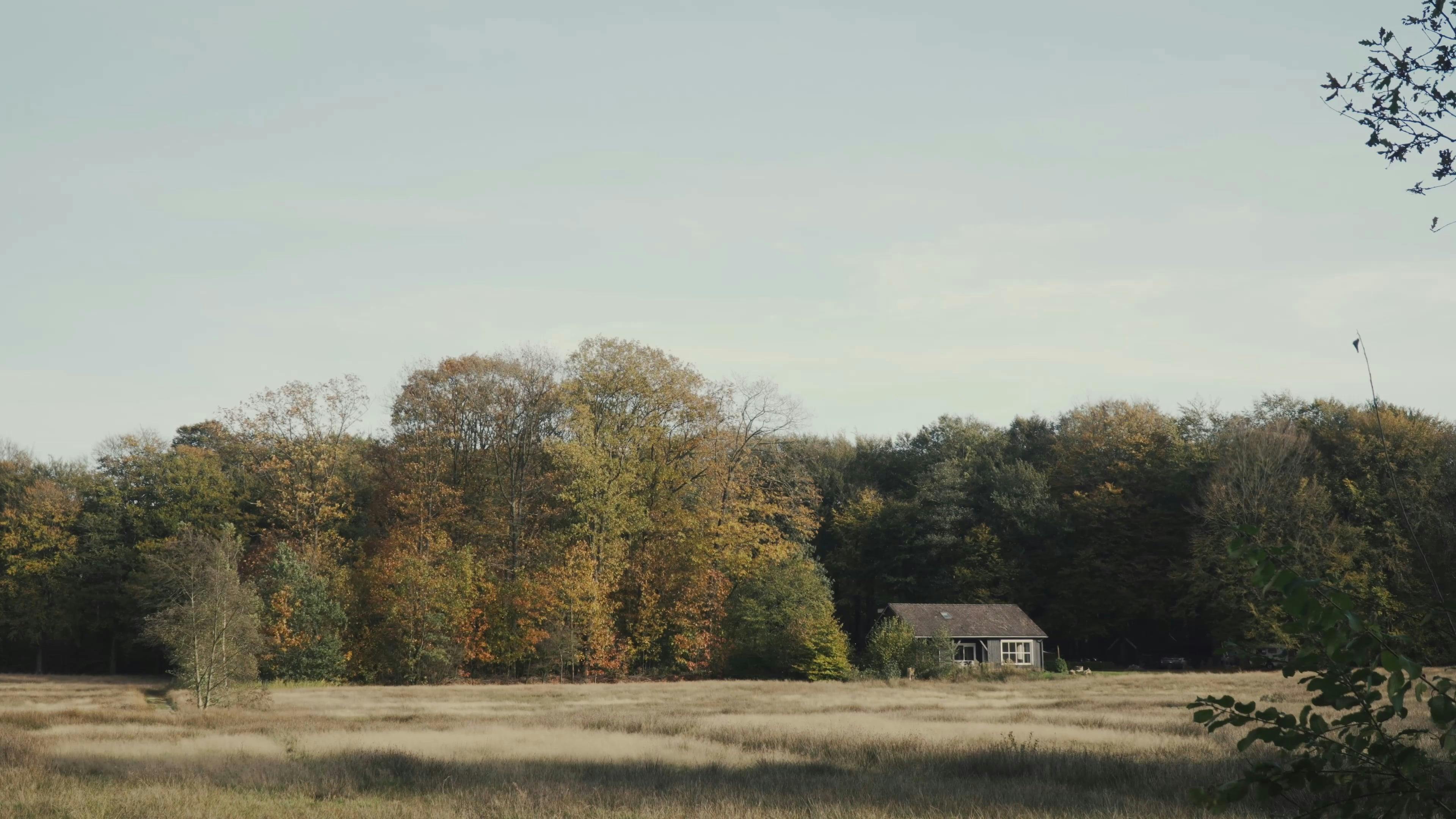 A Farm House Outside Of The Forest Overlooking The Field · Free Stock Video