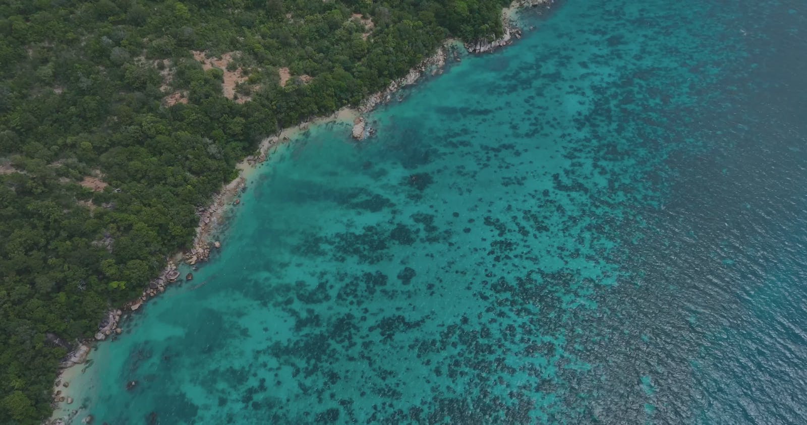 Royalty Free Videos, Download The BEST Free 4k Stock Video Footage ...