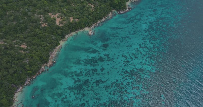 Royalty Free Videos, Download The BEST Free 4k Stock Video Footage ...