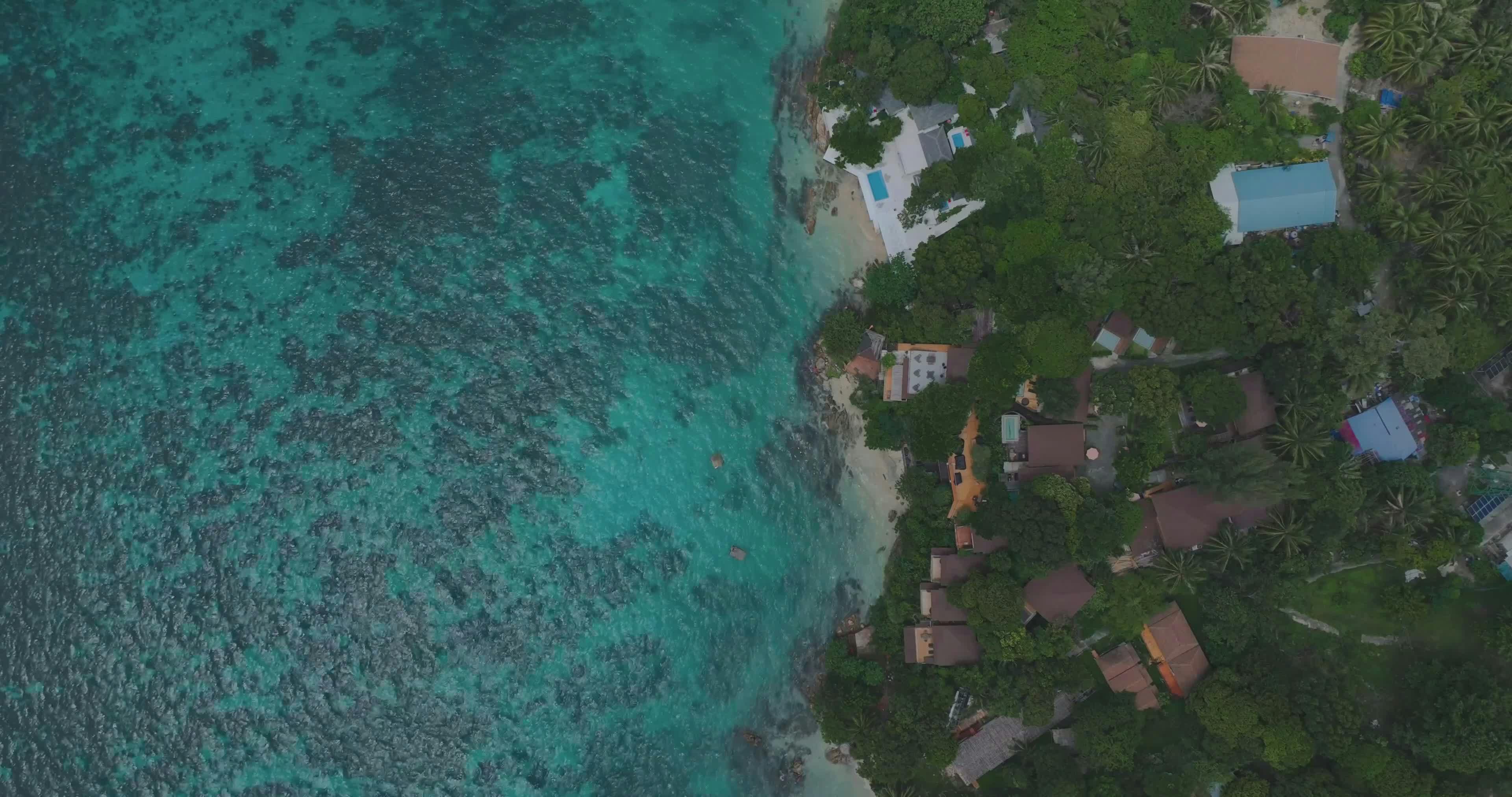 Natalie+Buffett+Bikini+Pictures Videos, Download The BEST Free 4k Stock ...