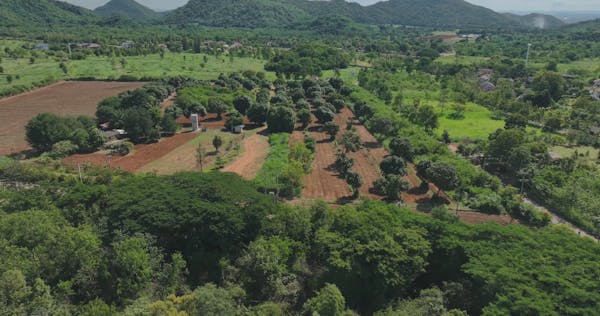 Royalty Free Videos, Download The BEST Free 4k Stock Video Footage ...