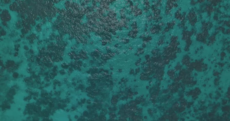 Royalty Free Videos, Download The BEST Free 4k Stock Video Footage ...