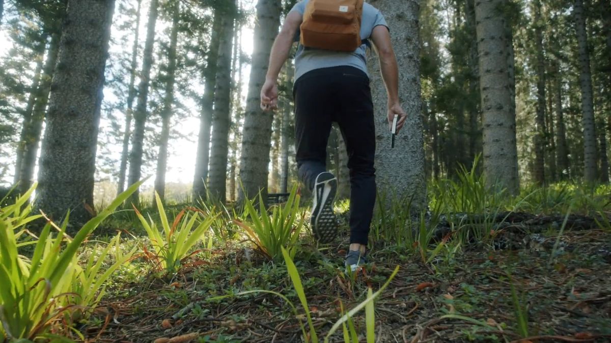Walking Videos, Download The BEST Free 4k Stock Video Footage & Walking ...