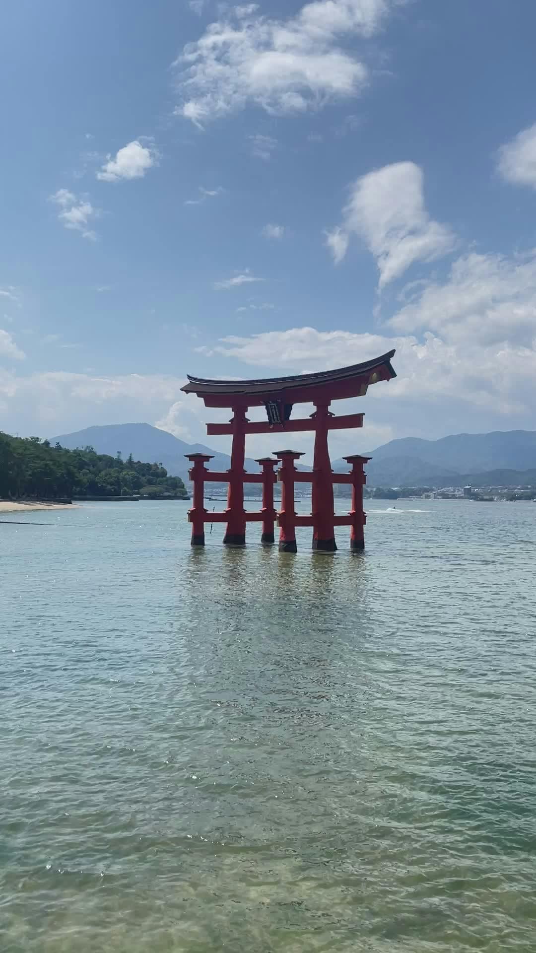 Serene View of Iconic Torii Gate in Japan Free Stock Video Footage ...