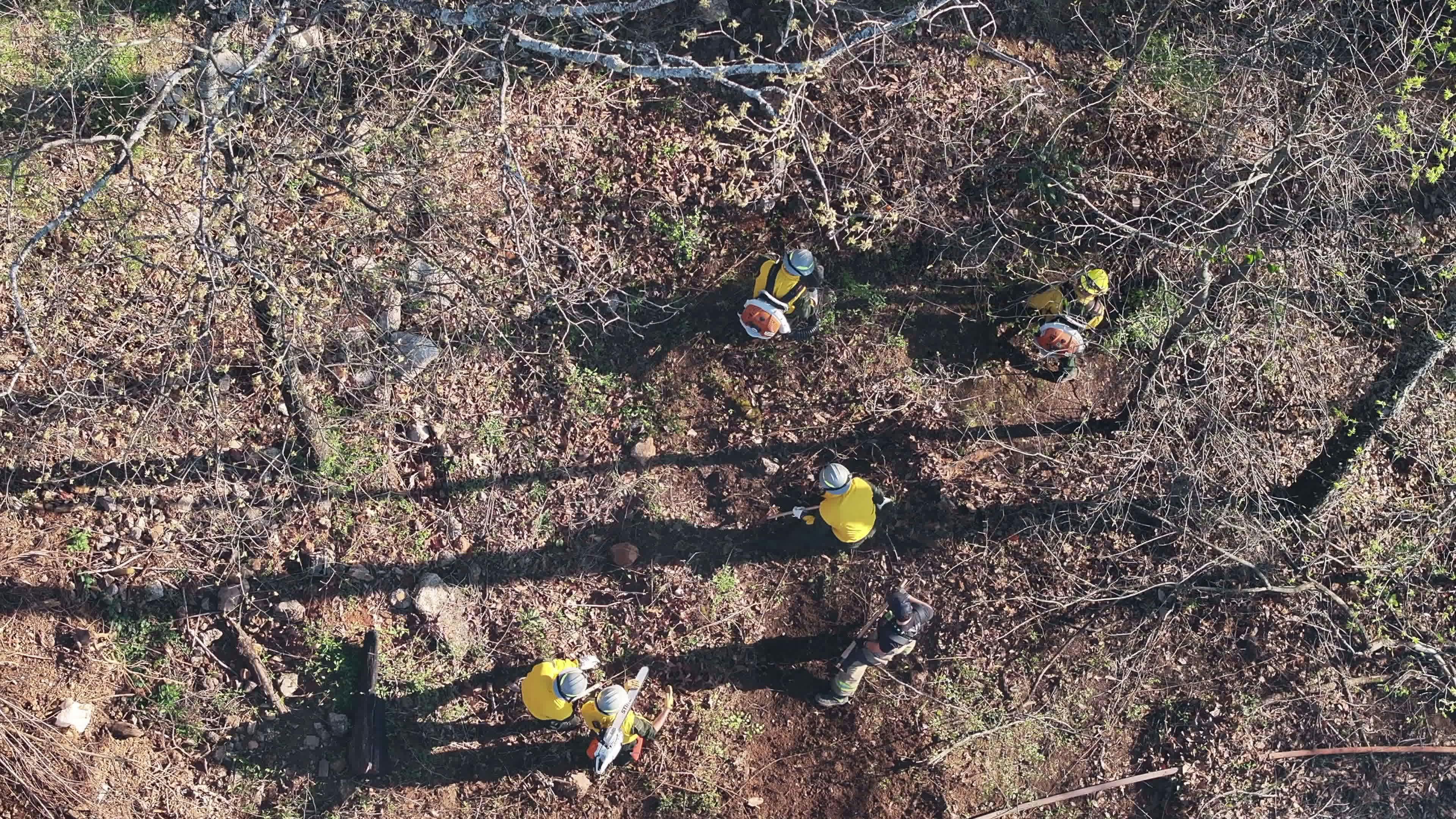 Webcam+Brush+Bate Videos, Download The BEST Free 4k Stock Video Footage & Webcam+Brush+Bate HD ...