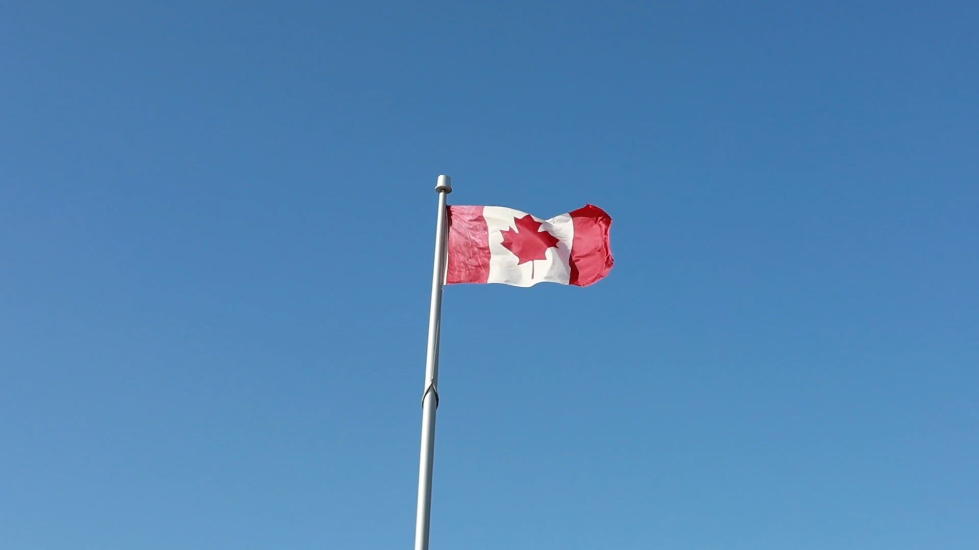 Video Of Canada's Flag On A Windy Day Free Stock Video Footage, Royalty ...